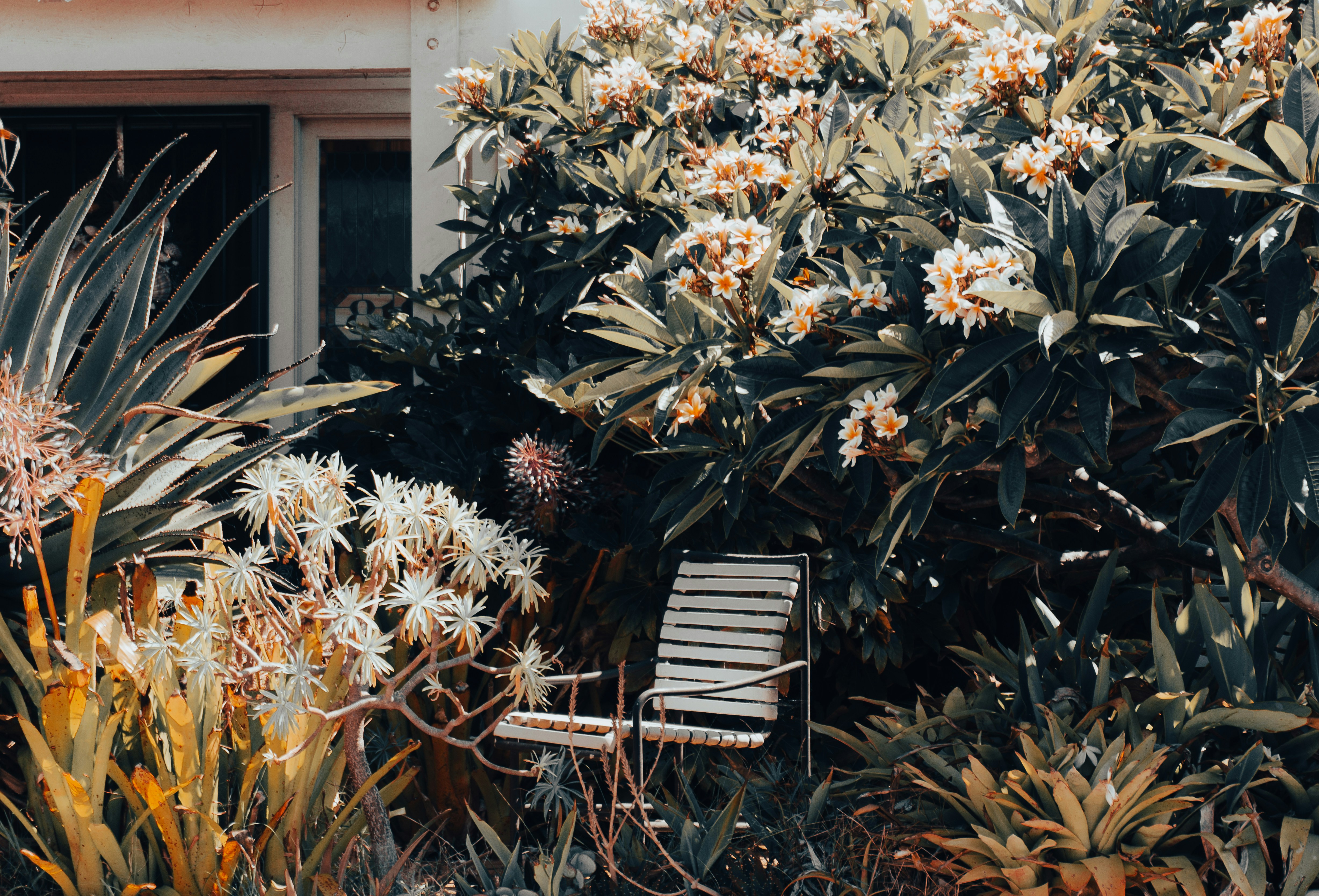 A tranquil garden scene featuring a lone chair surrounded by vibrant flowers and lush greenery, inviting relaxation and reflection.