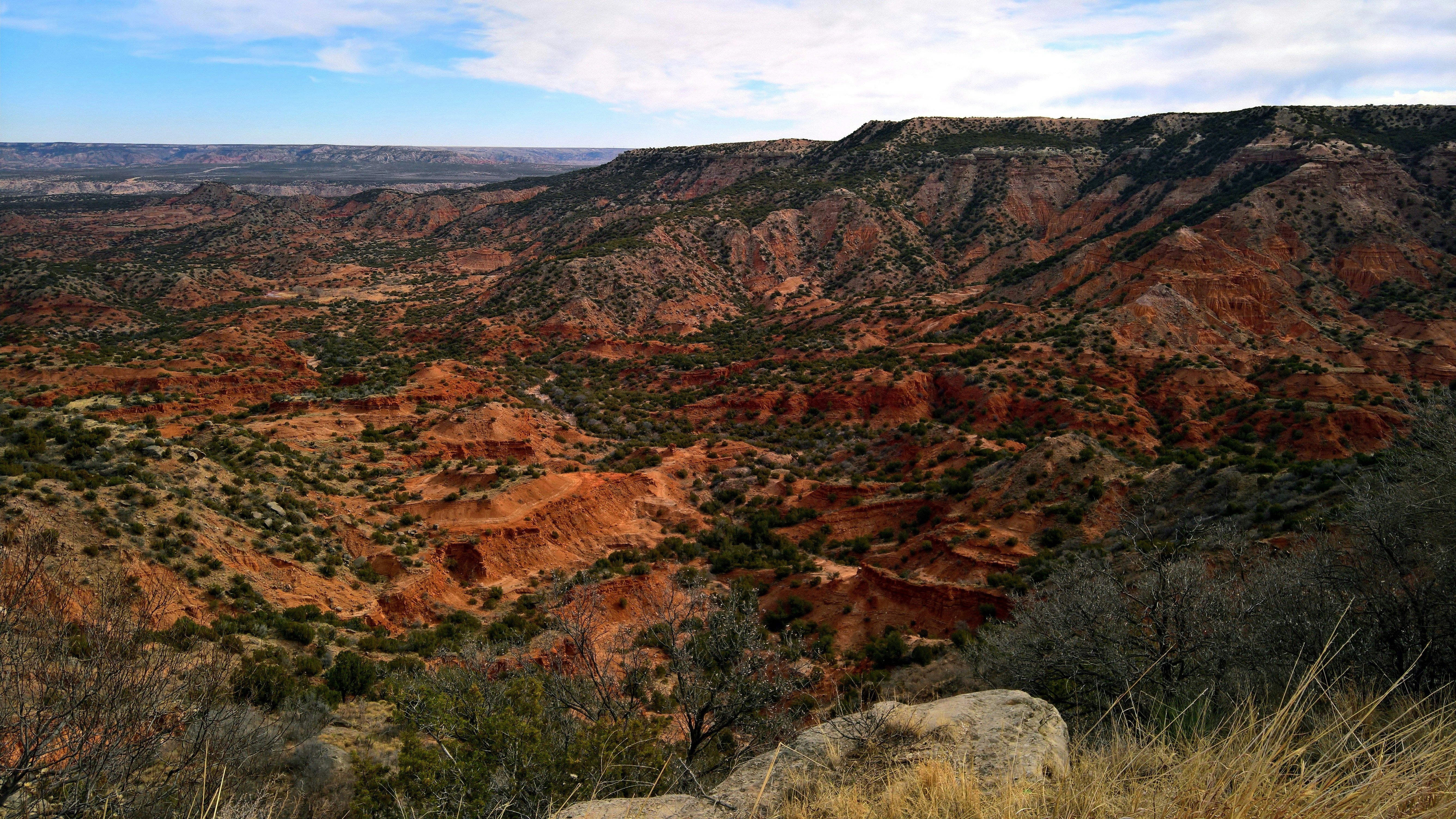 Layers of Fire and Stone: A Red Canyon Horizon