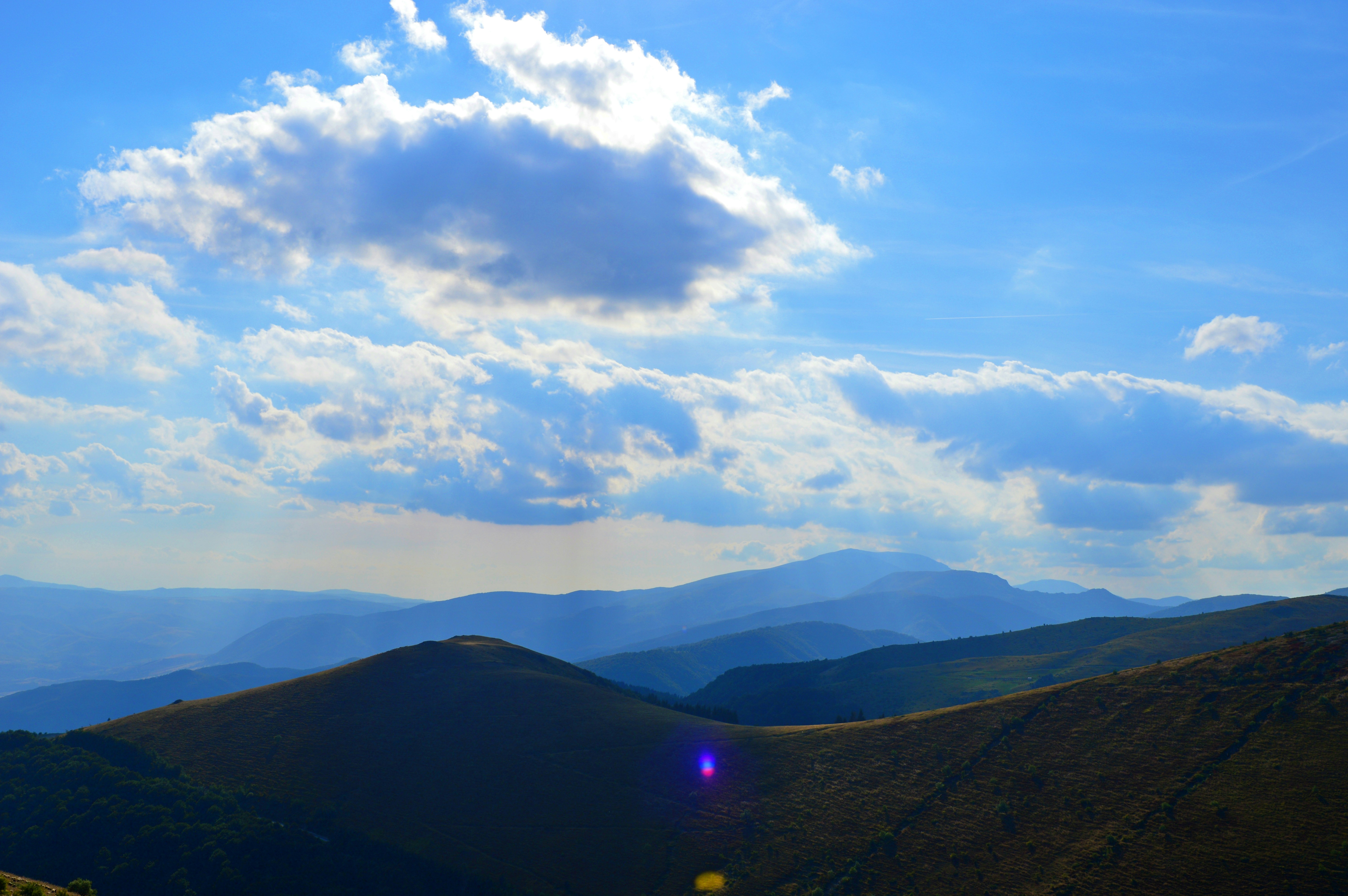 Lora P (@lorapaskaleva) | Unsplash 사진 커뮤니티