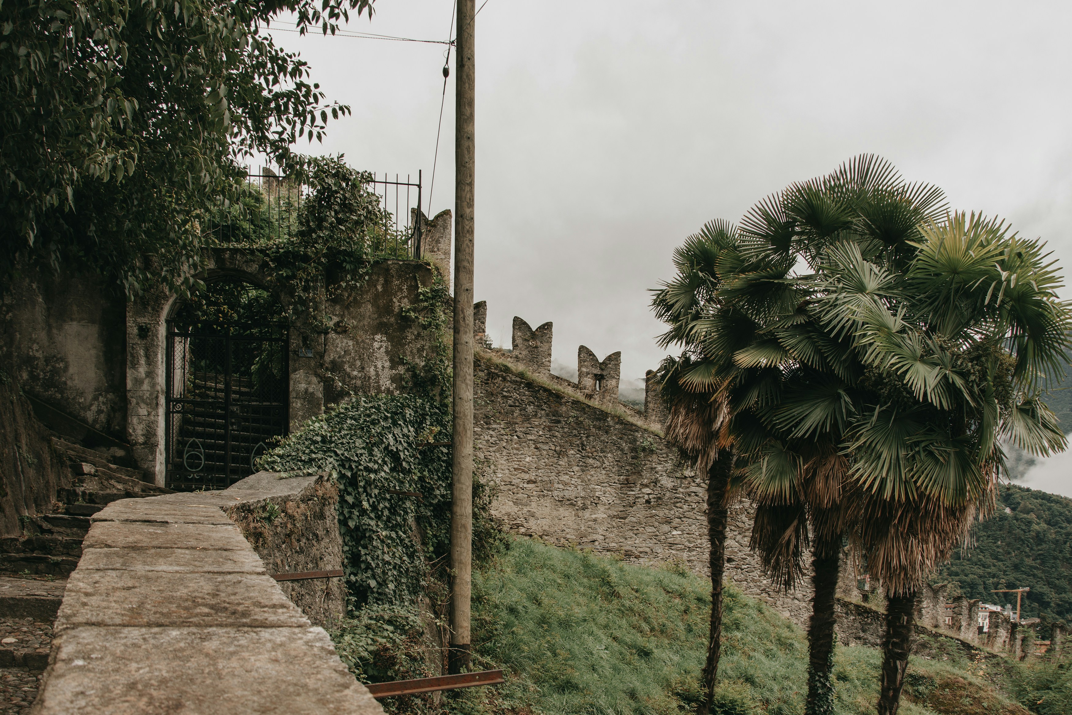 Crumbled Ramparts and Palm Sentinels on a Misty Hillside Fortress