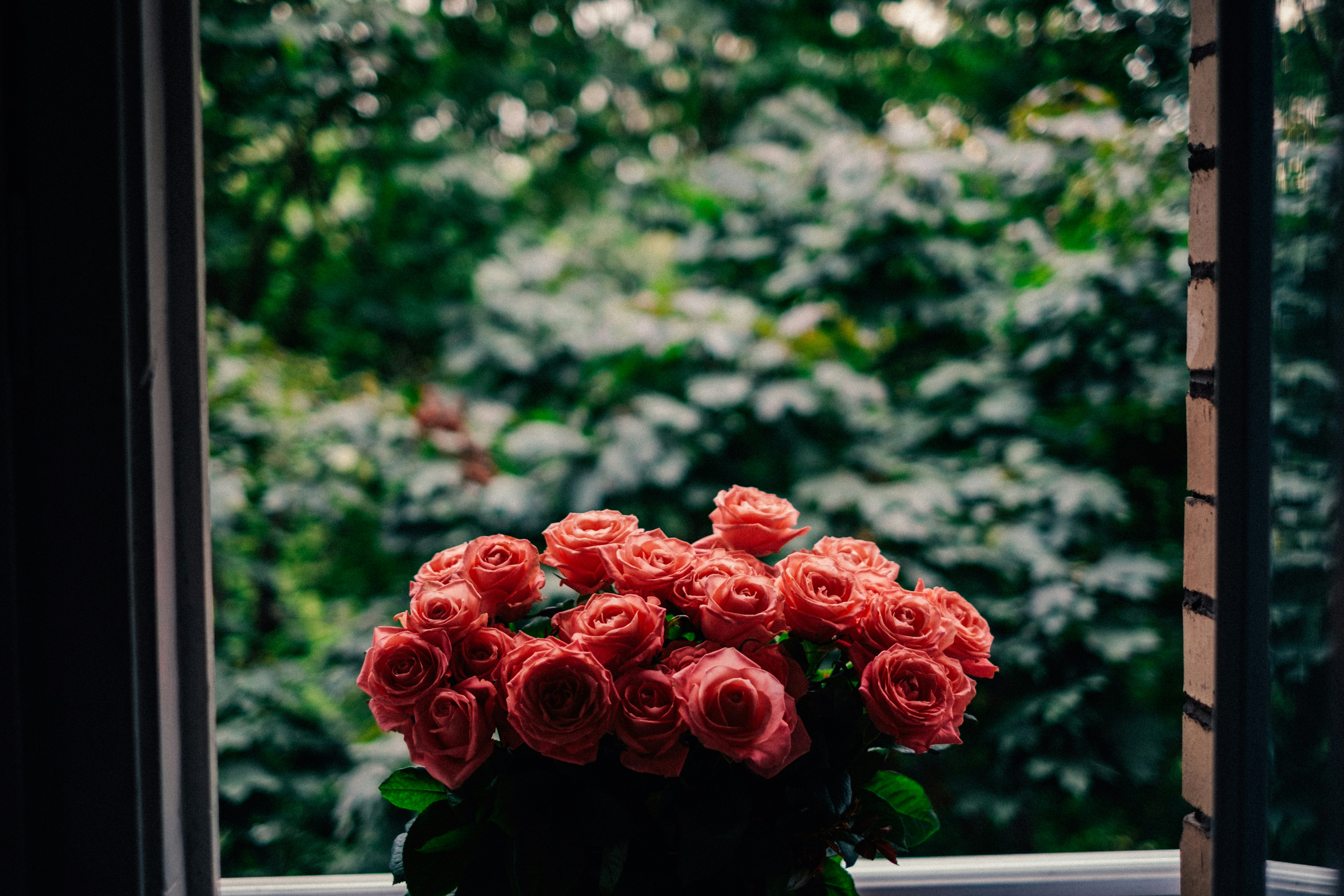 Red bouquet in a window frame: a quiet bloom against a leafy backdrop
