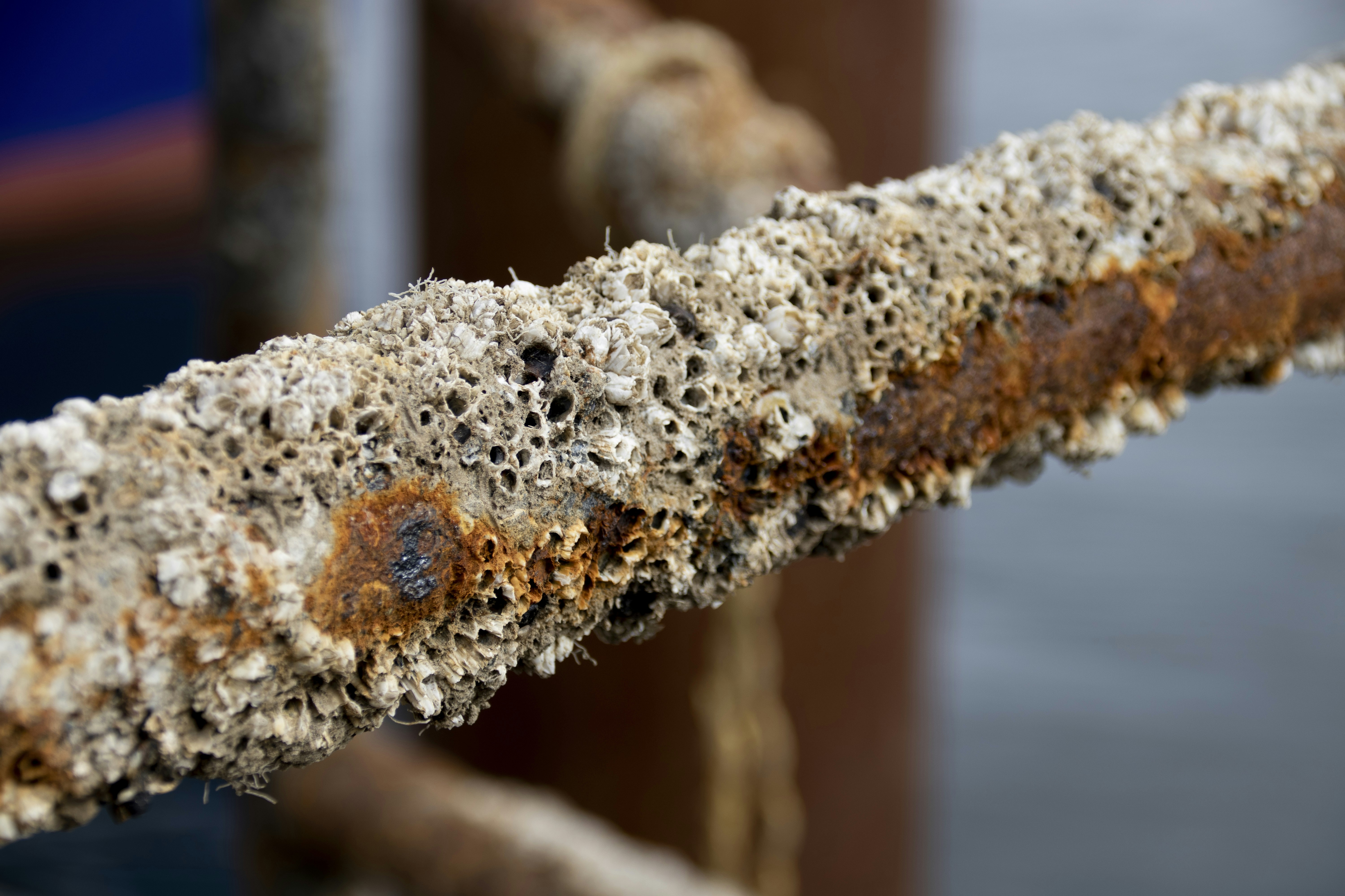 A close up of a rusted metal bar photo – Free Weathered metal Image on ...