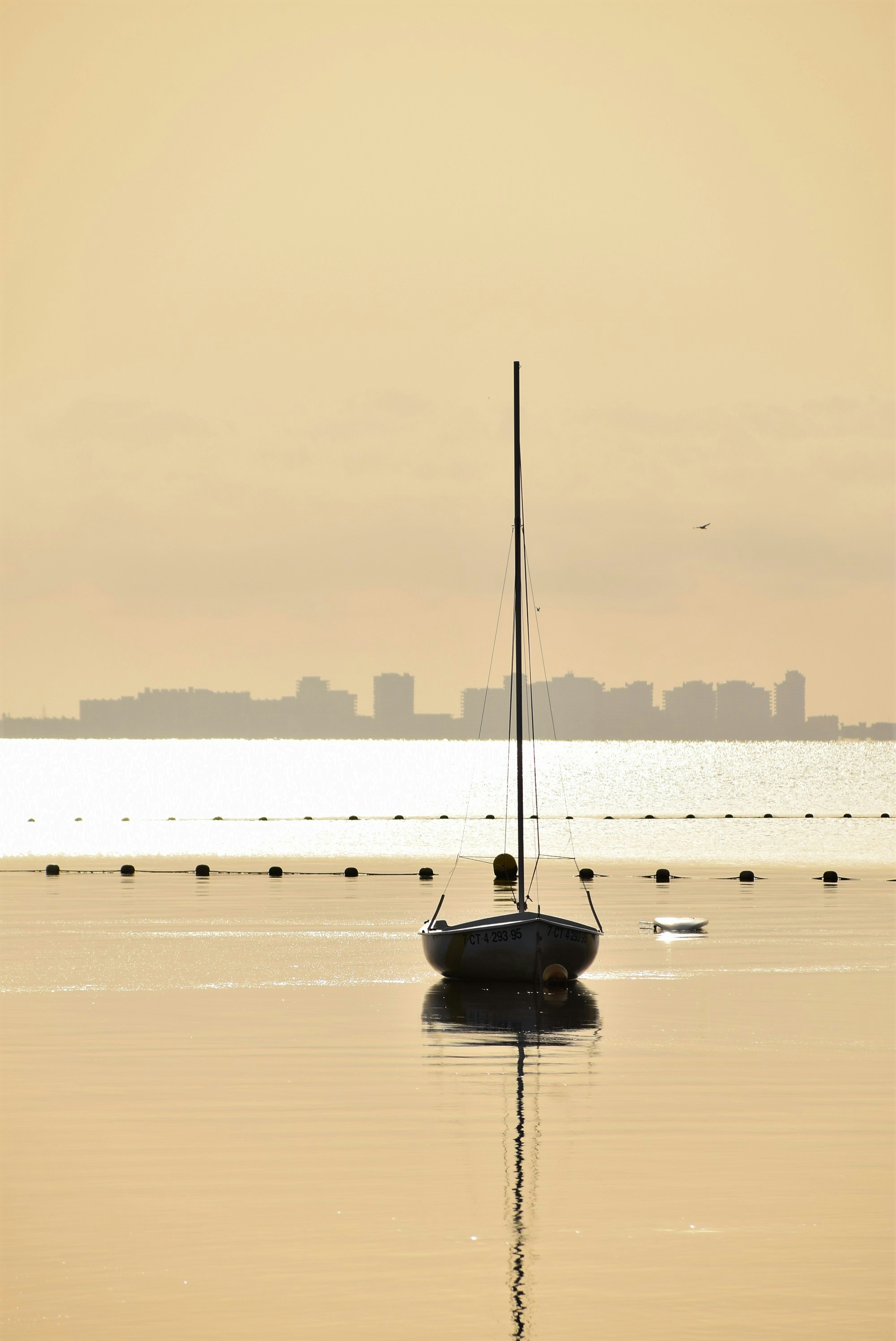 A sailboat floating on top of a body of water photo – Free Mar menor ...