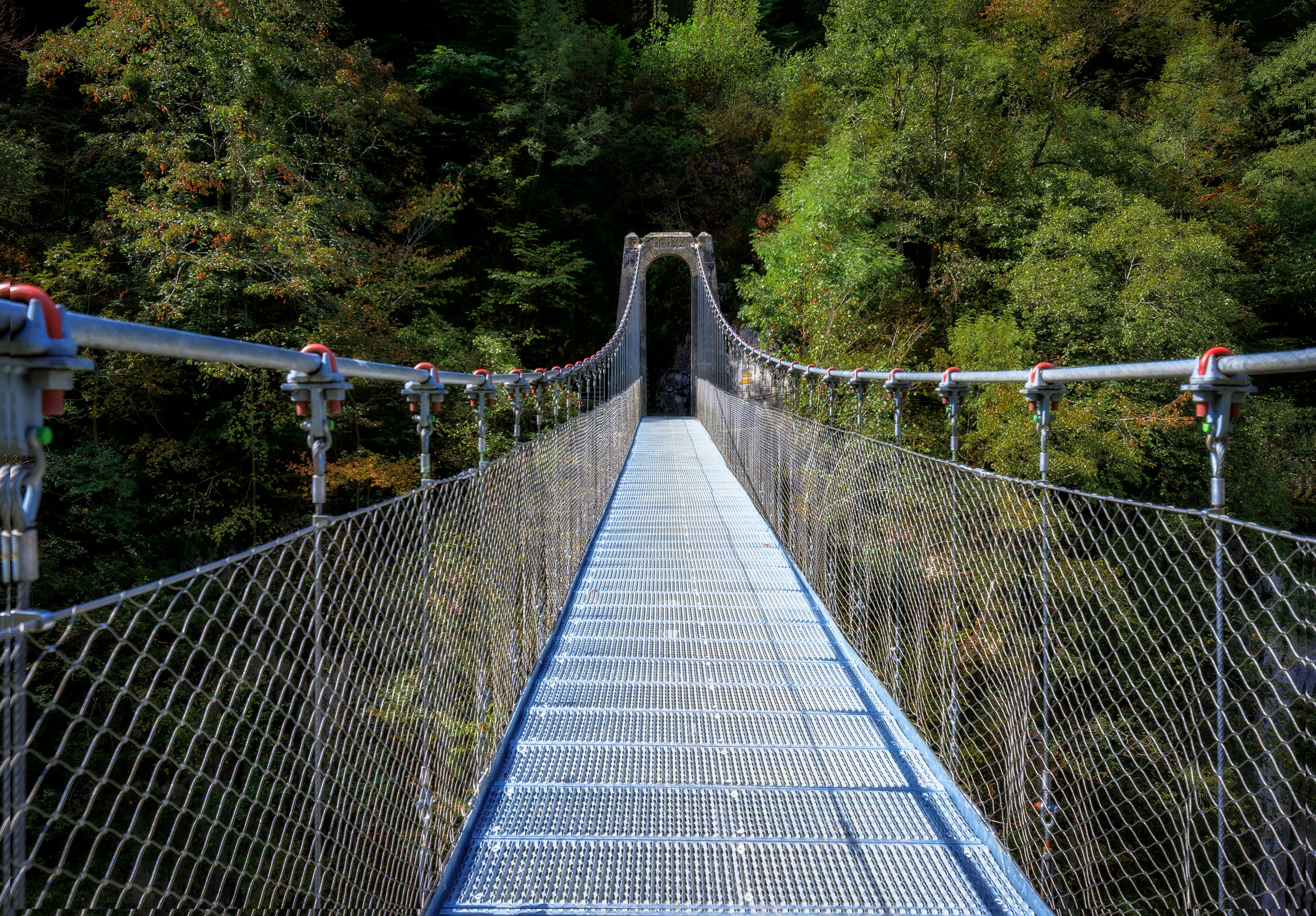 Photo by Anthony Cantin with Canon EOS 6D Mark II