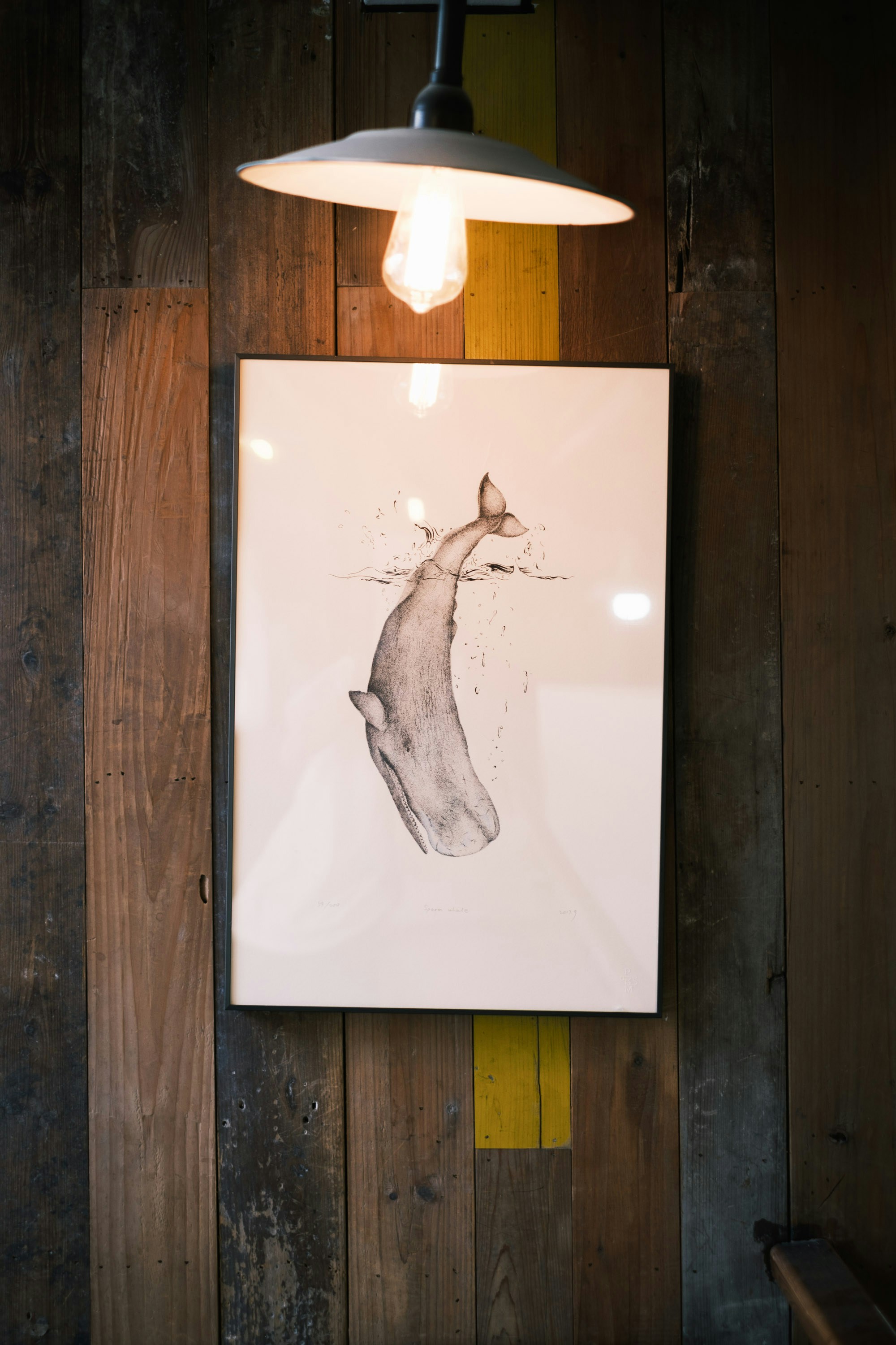 Whale Framed in Warm Light