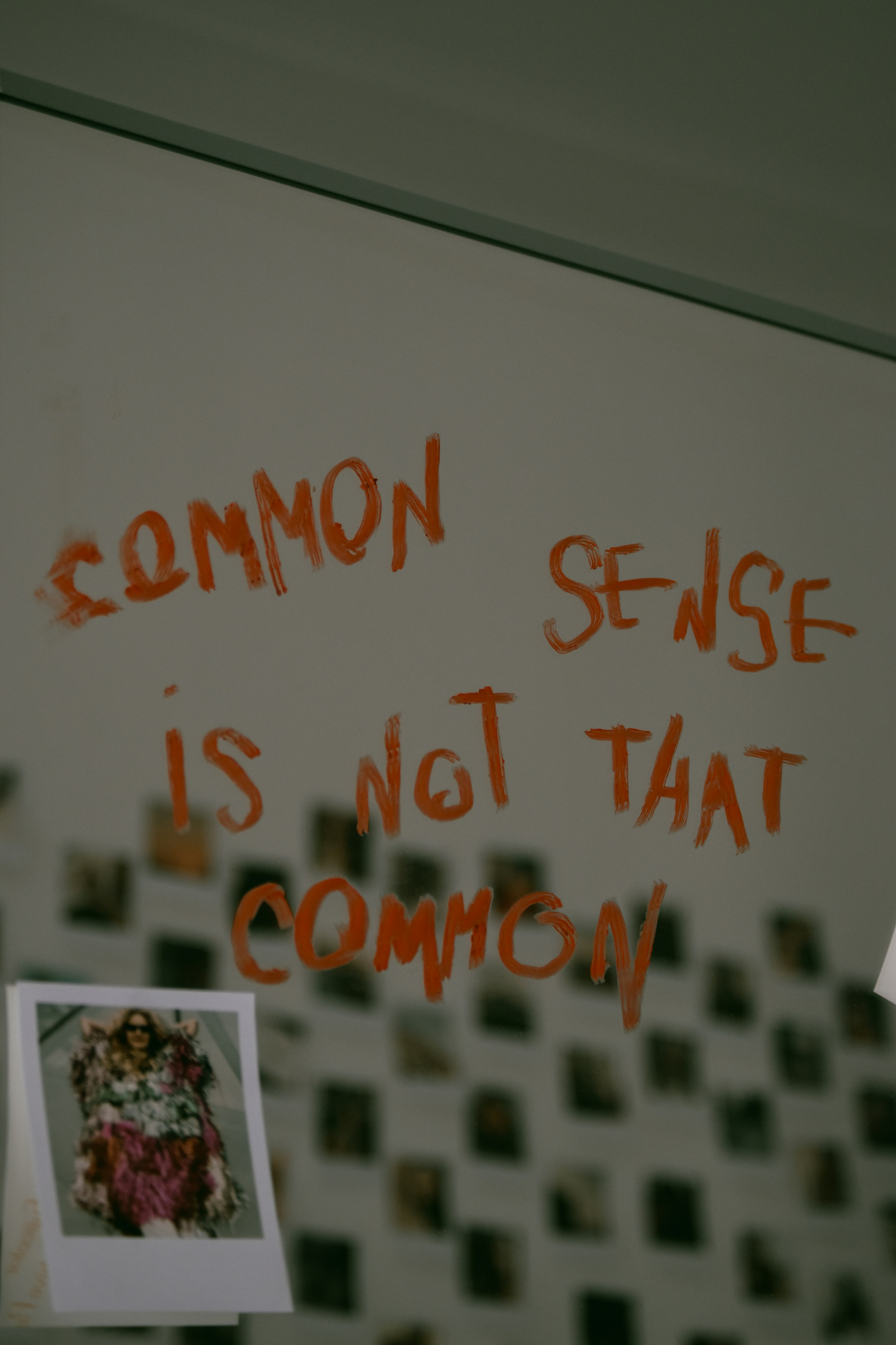 Background | 100+ best free background, texture, wallpaper, and pattern ...