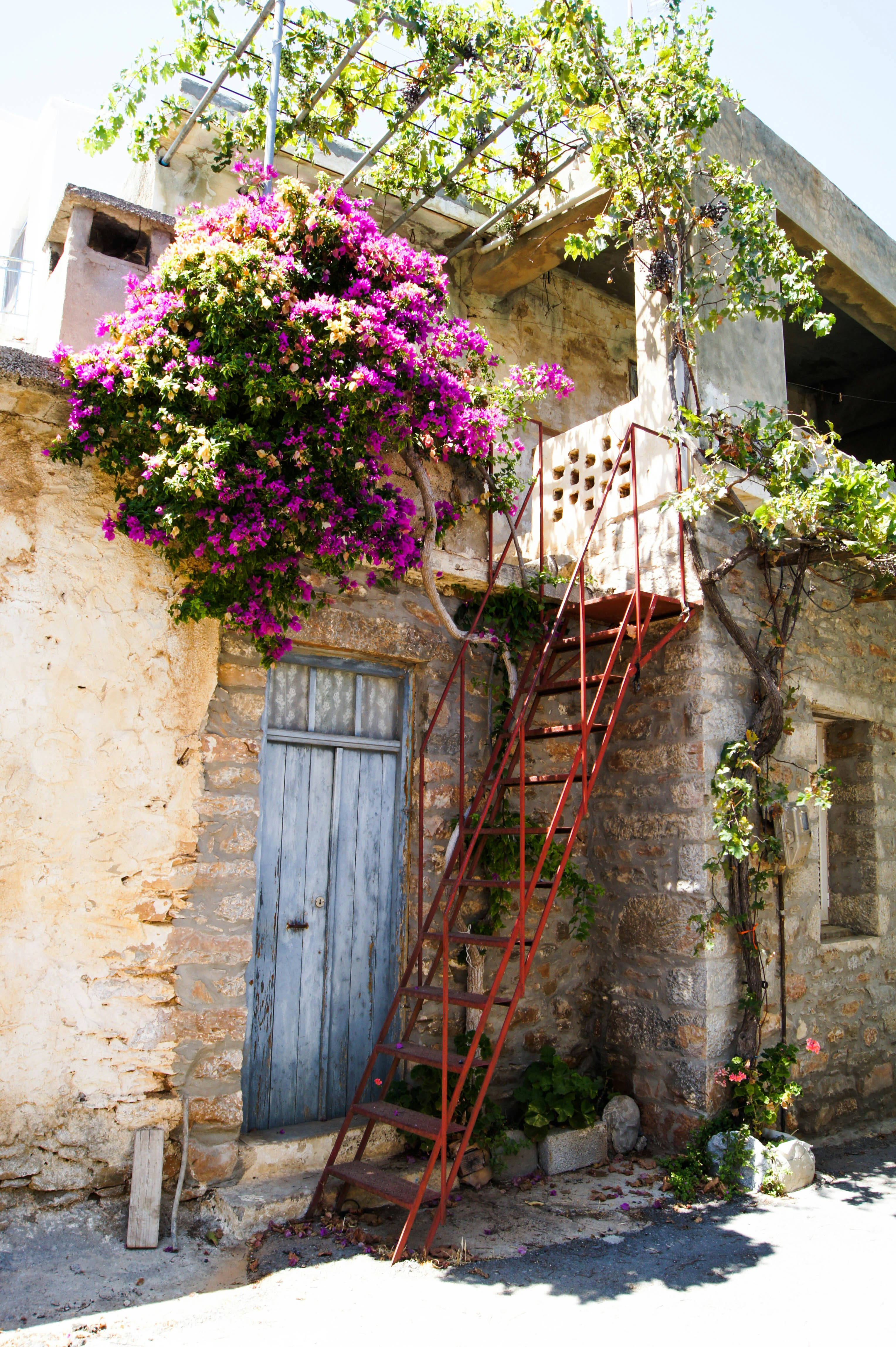 Sunlit stone façade with a weathered blue door and a red metal staircase. Bougainvillea cascades over the balcony, framing the scene.