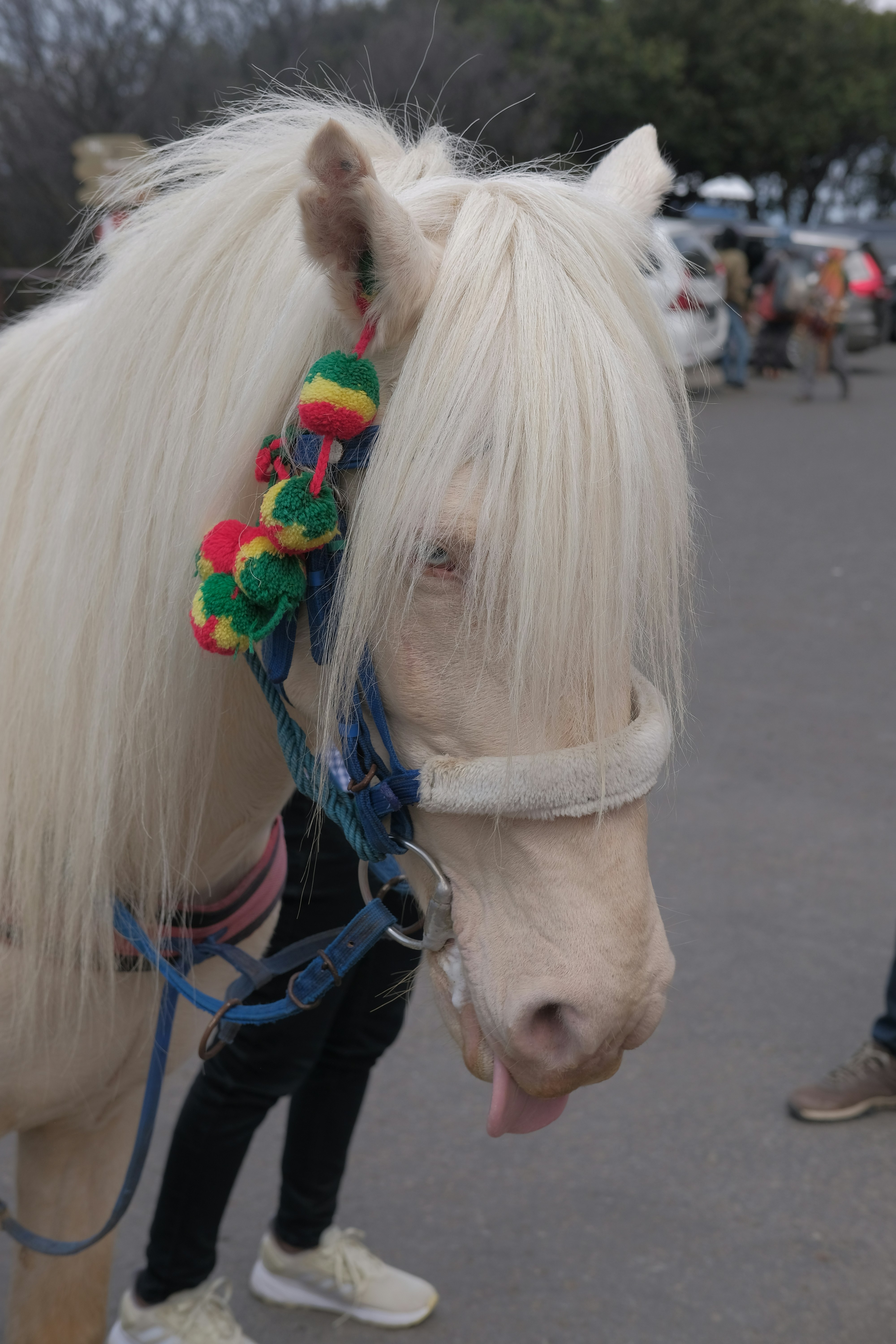 Pom-Pom Parade: Pale Mane with Colorful Tassels at a Street Fair