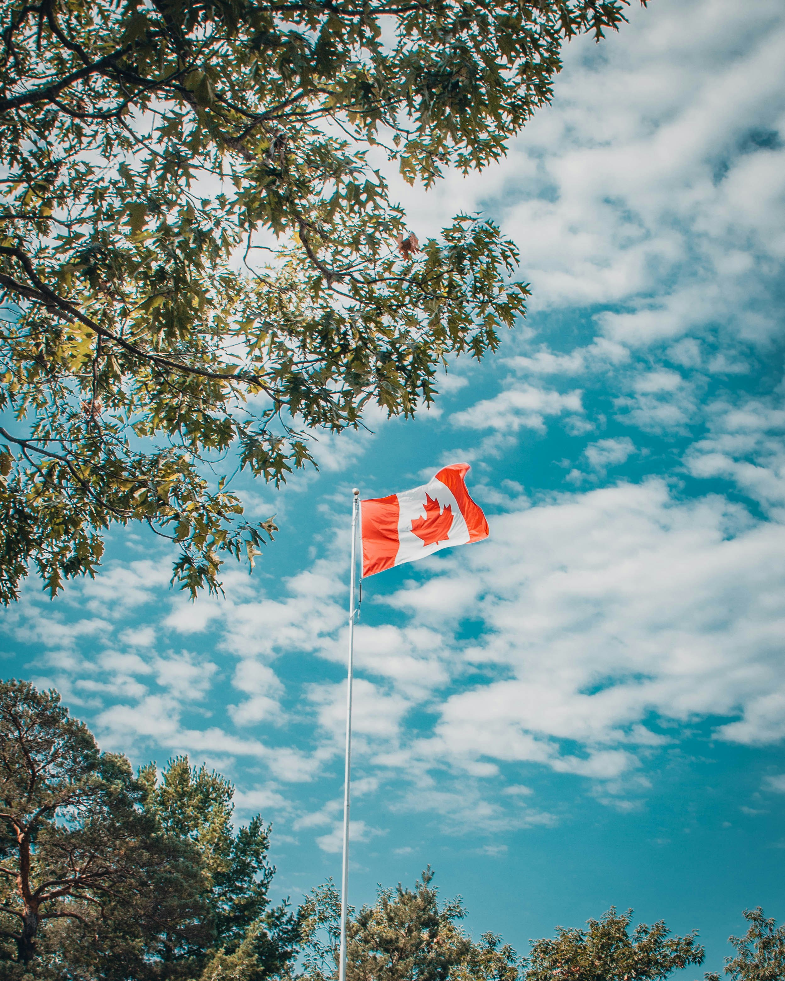 A canadian flag flying high in the sky photo – Free Muskoka Image on ...