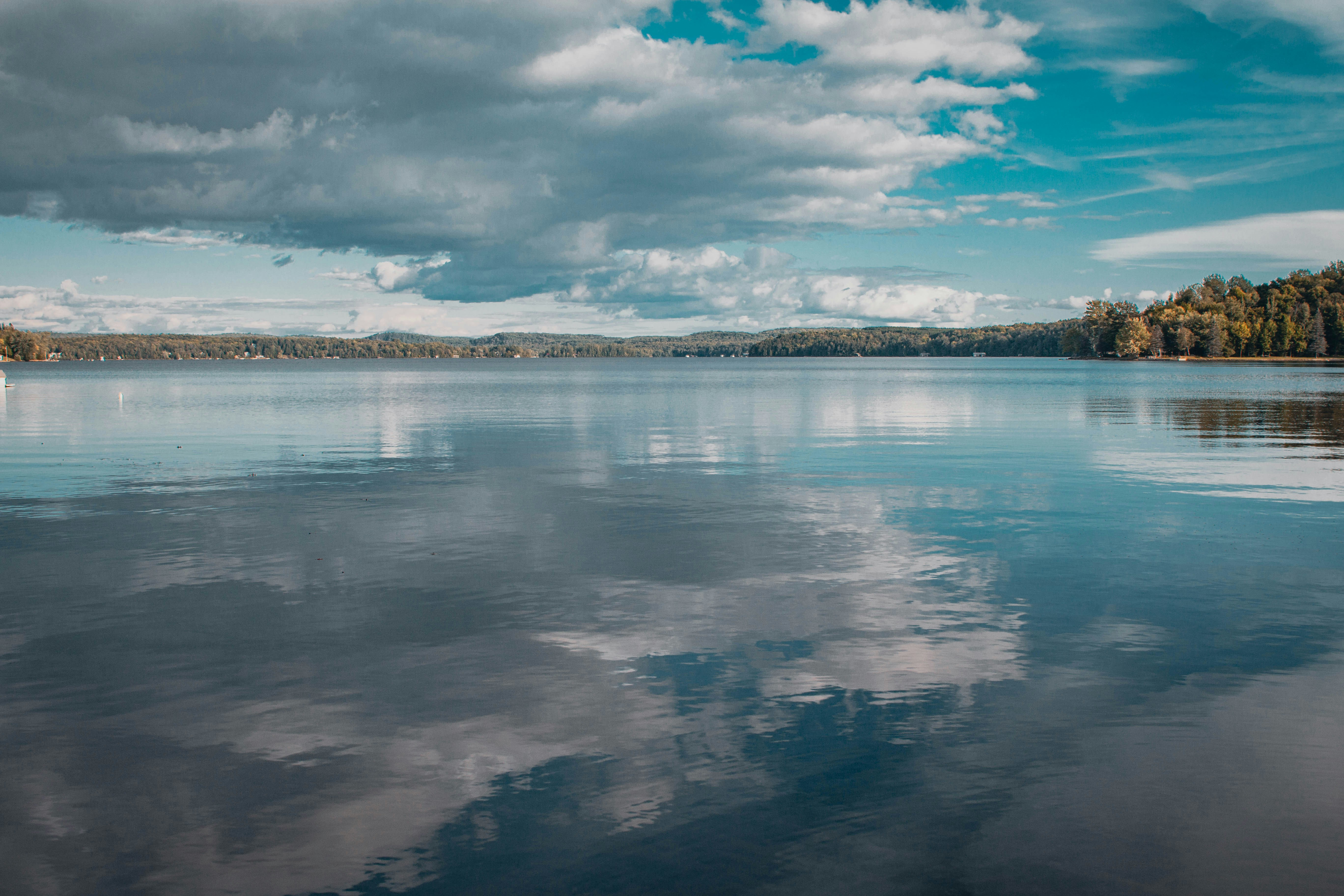 A large body of water surrounded by trees photo – Free Muskoka Image on ...