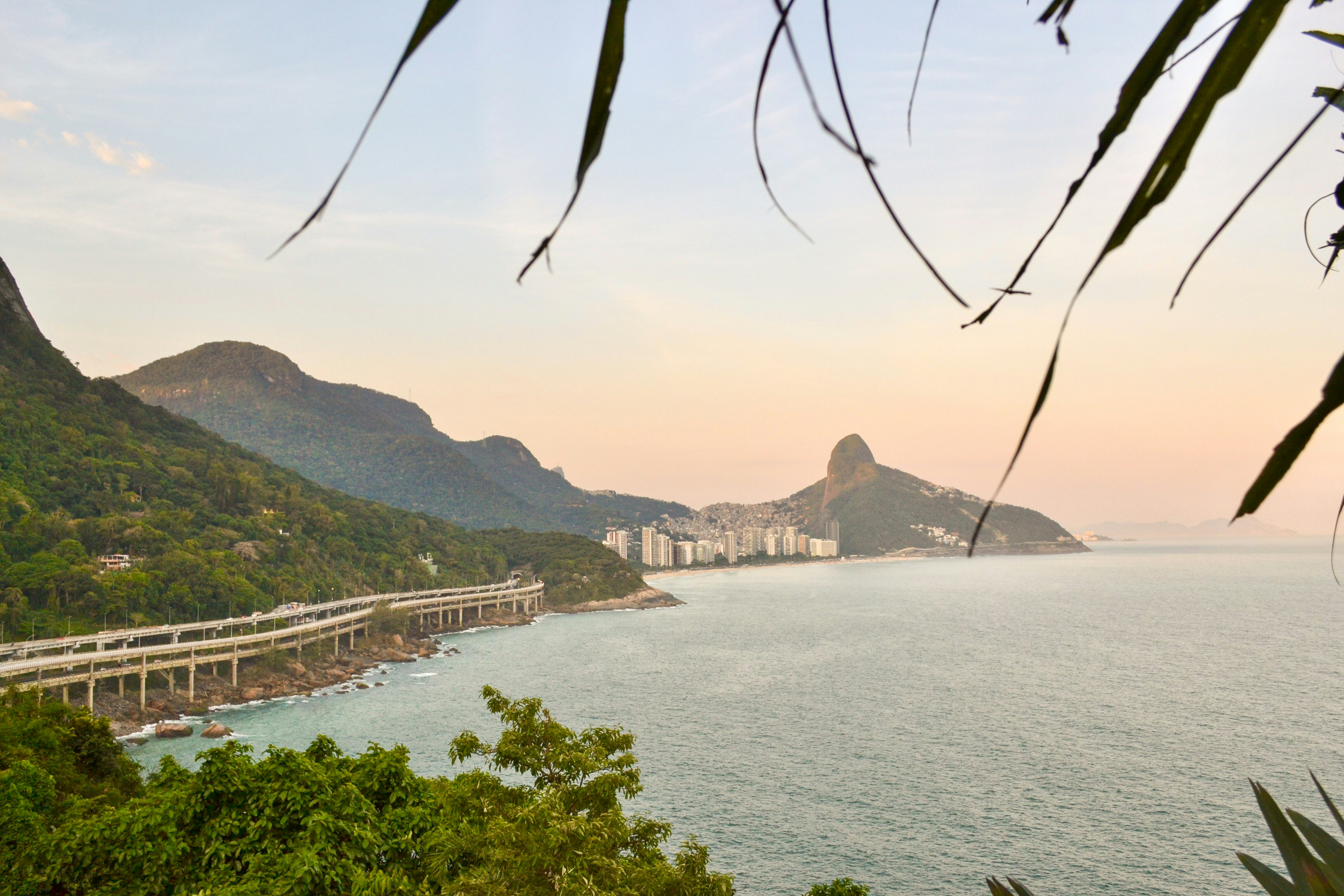 Riviera Ridge at Dusk: Palm-Framed Coastline and Distant Town