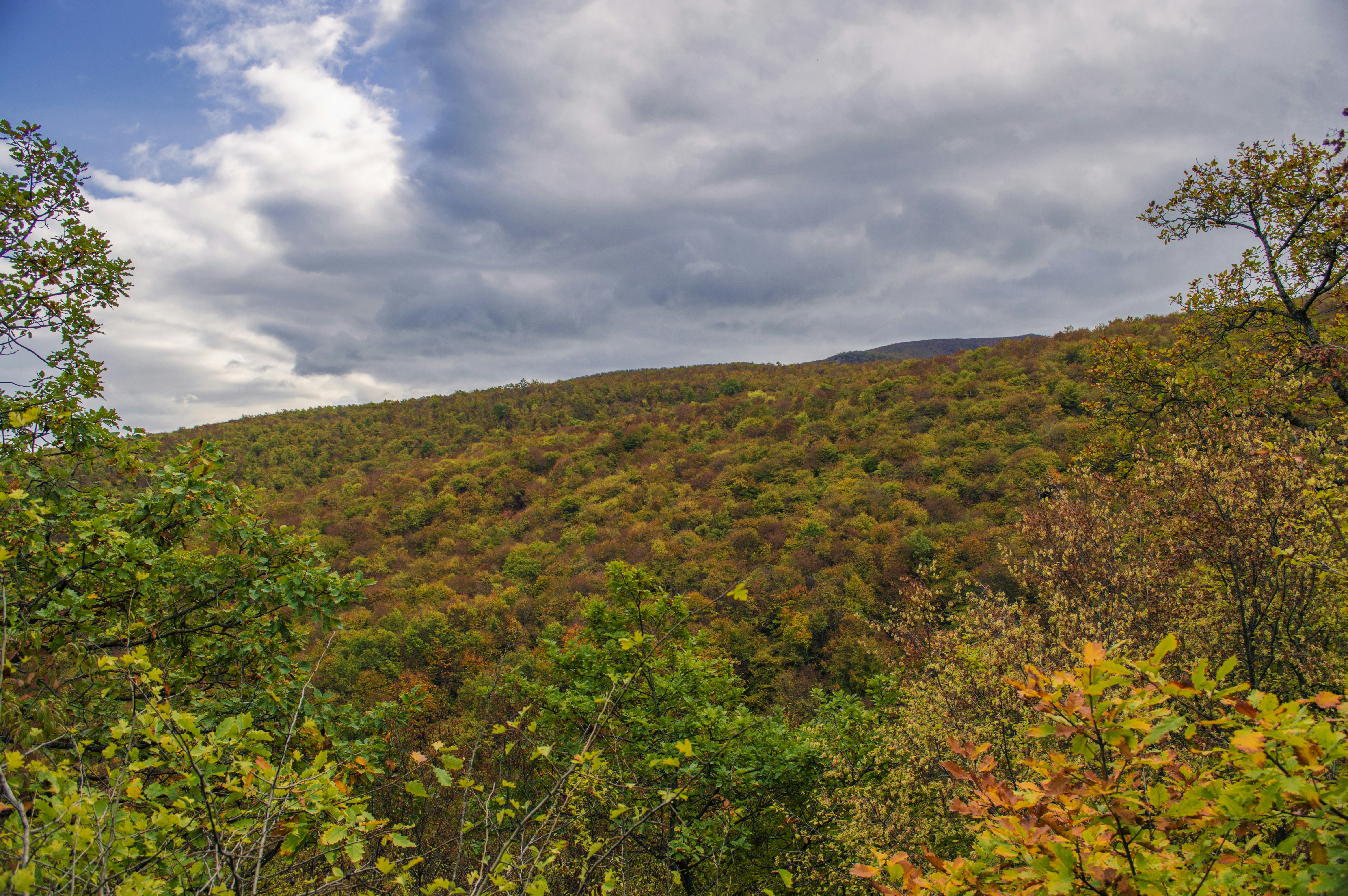 Gurjaani Photos | Télécharger des images gratuites sur Unsplash