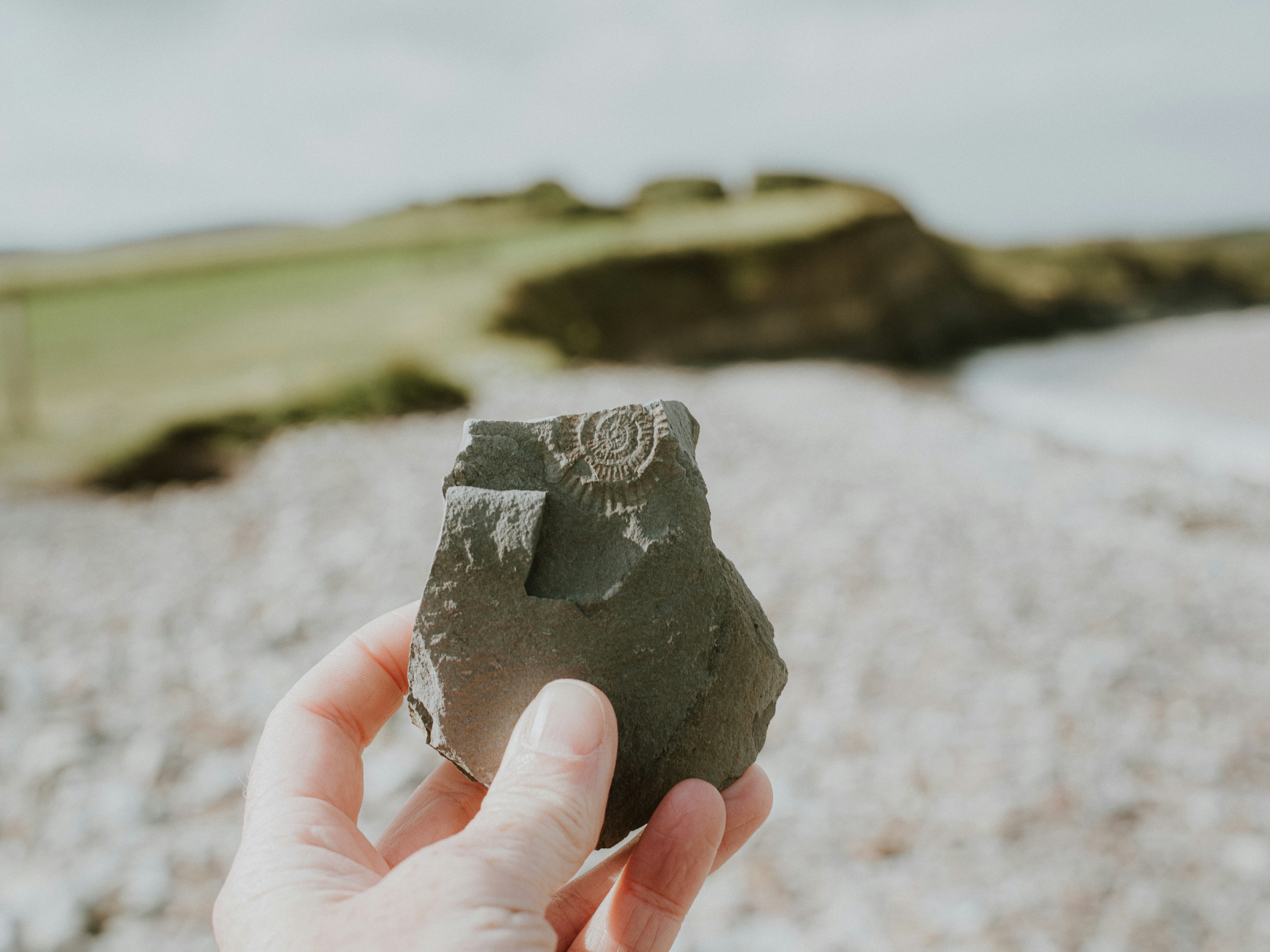 A person holding a rock in their hand photo – Free Kilve beach Image on ...