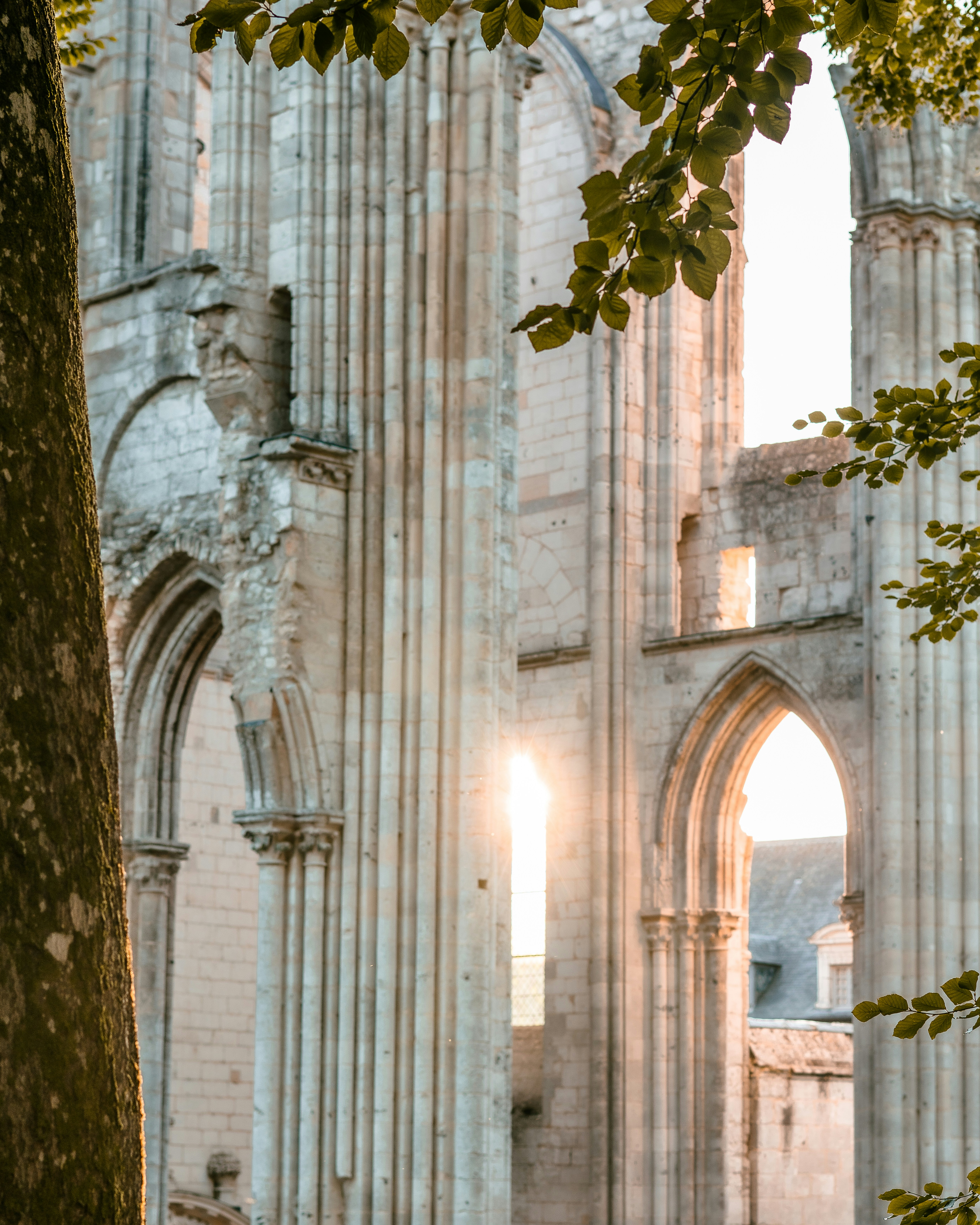 Sunlight in the Ruins: A Cathedral's Grace Between Columns