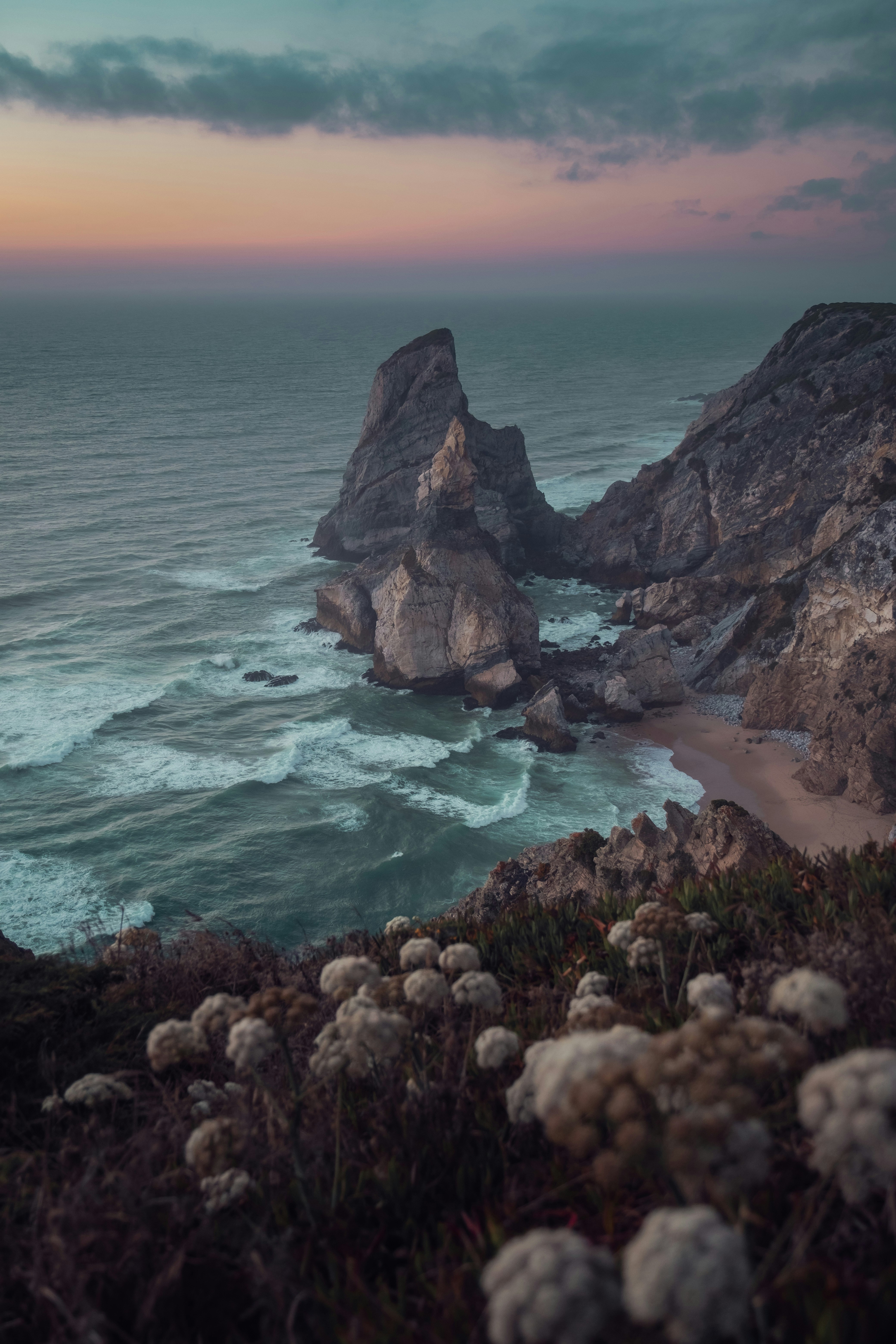 Dramatic coastal cliffs rise from the turbulent sea under a pastel sky at dusk, with wildflowers framing the foreground.