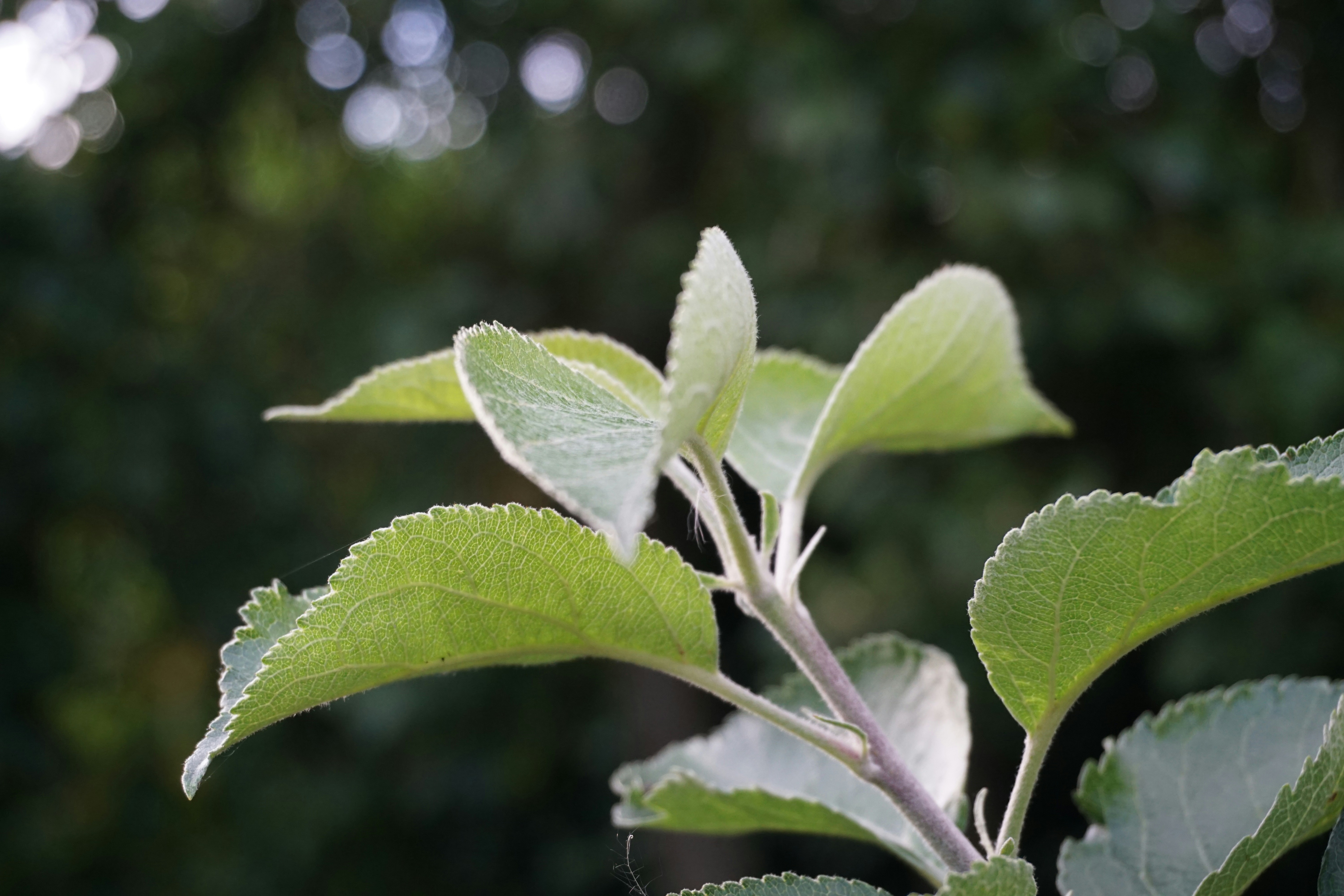 Benjamin Williams (@benwilliams) | Unsplash Photo Community