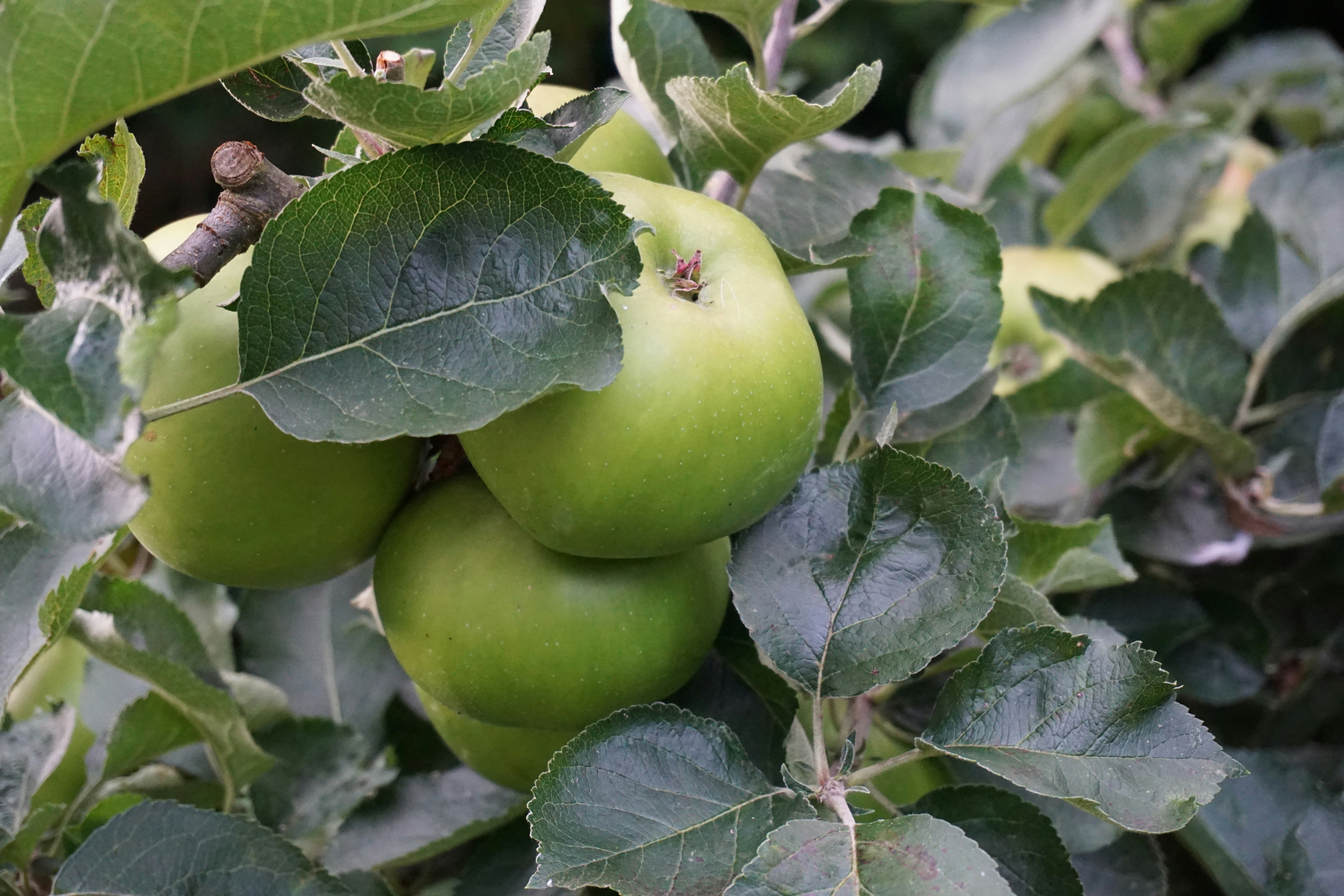 Benjamin Williams (@benwilliams) | Unsplash Photo Community