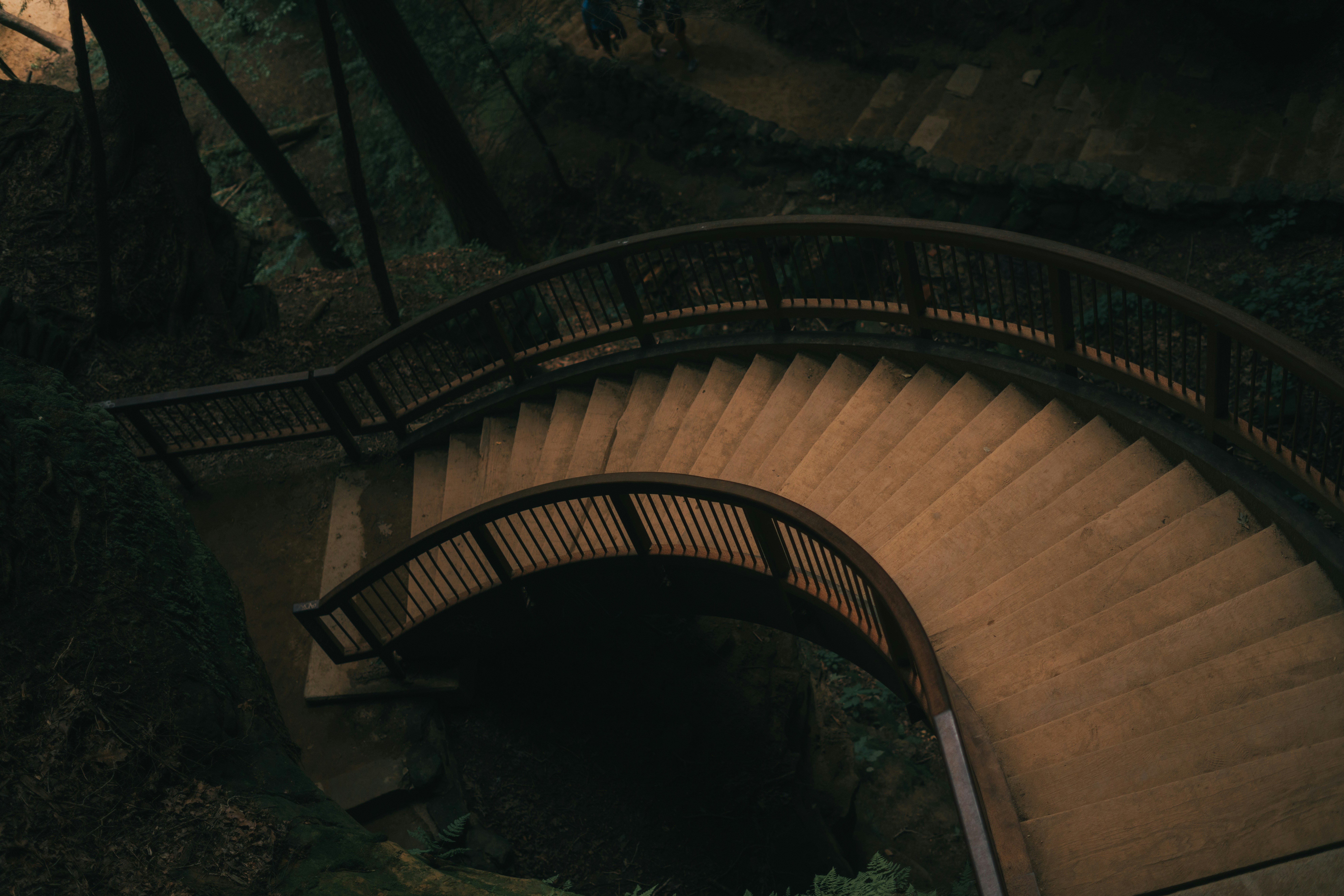 Spiral Descent into Night: A Quiet Staircase in the Woods
