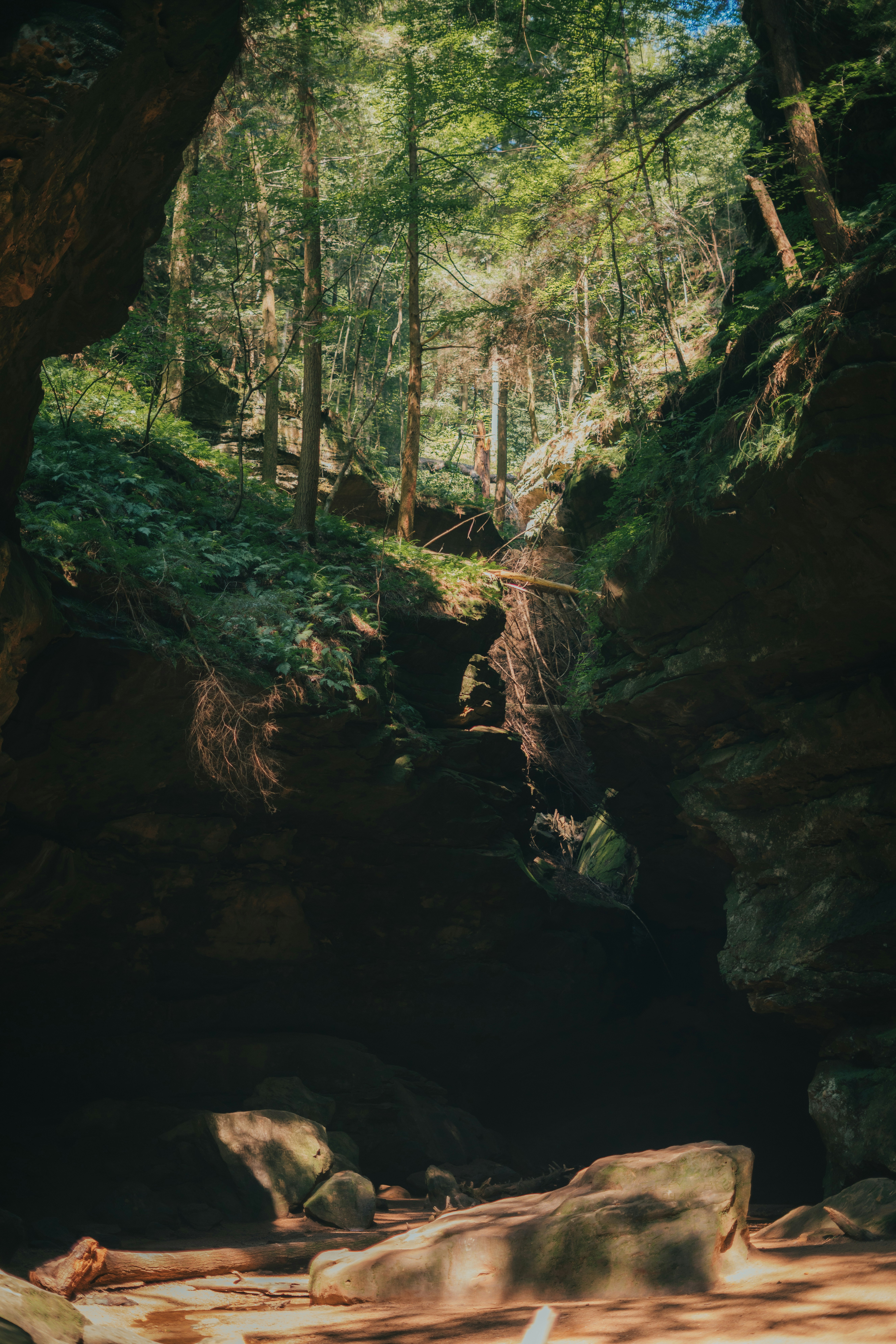A large cave with trees in the background photo – Free Plant Image on ...