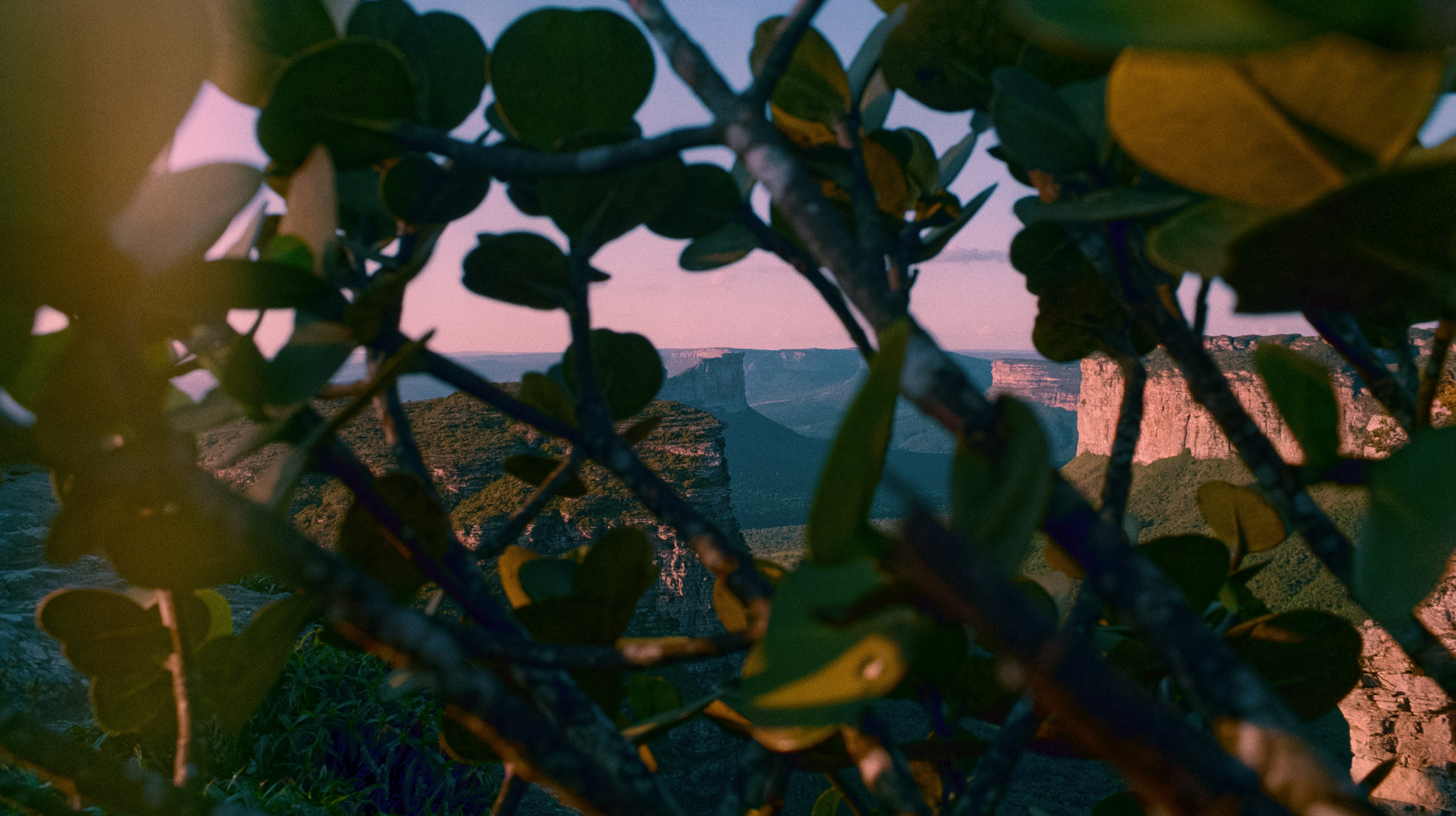 Mountain landscape framed by out-of-focus green leaves under a twilight sky.