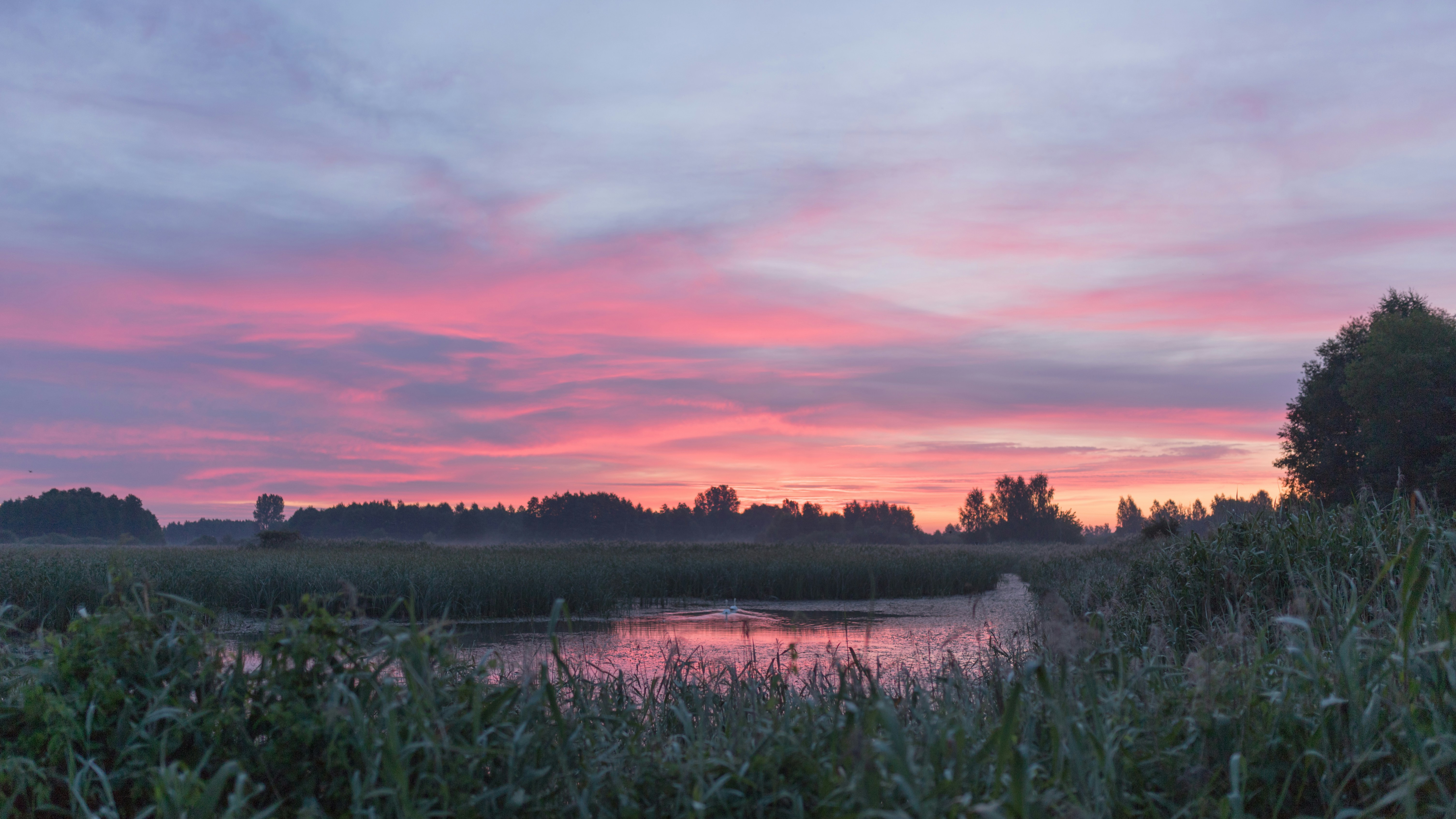 A pink and purple sunset over a river photo – Free Podlasie Image on ...