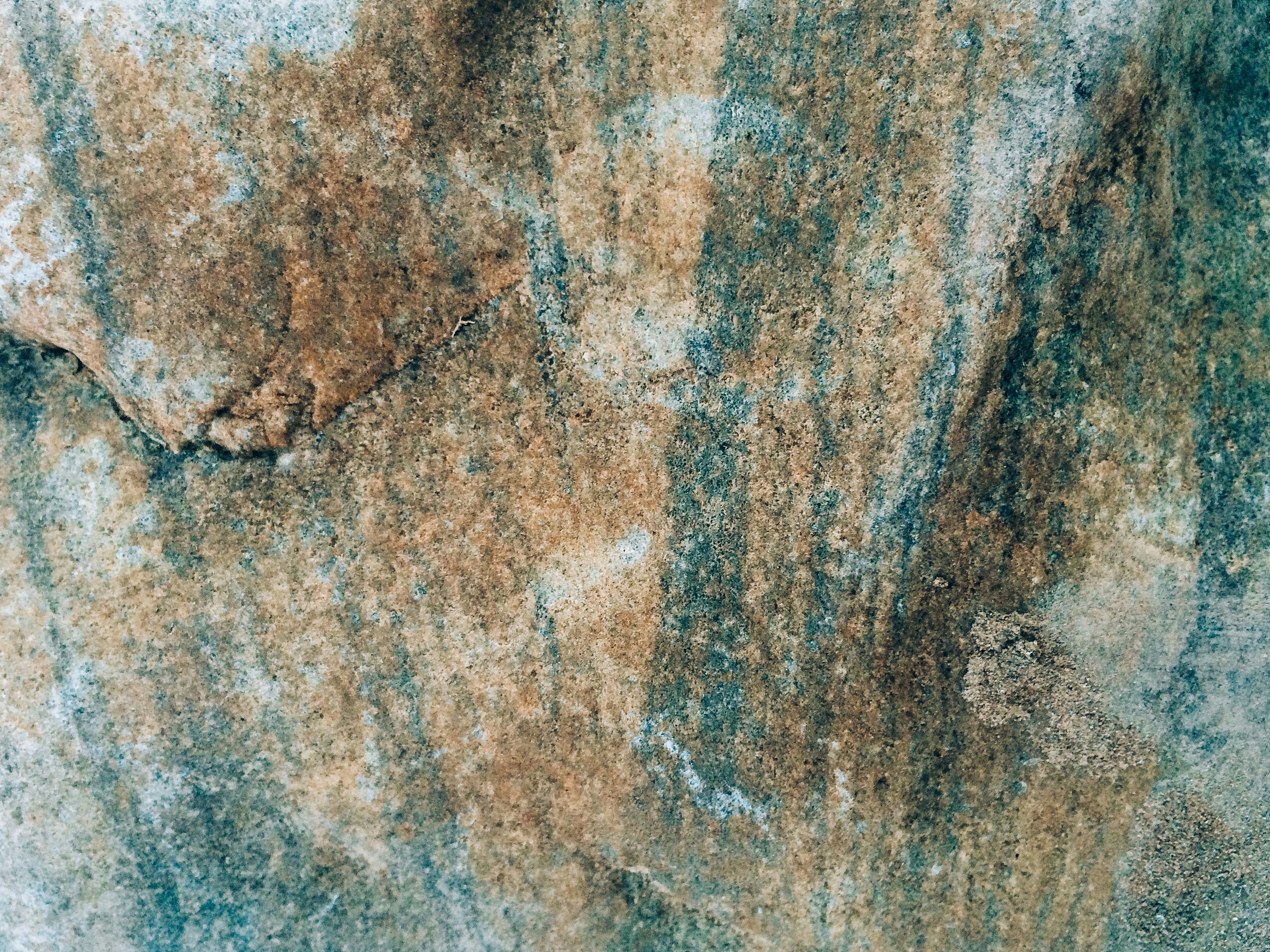 Close-up of a rock surface showcasing intricate patterns and earthy tones, highlighting the natural artistry of geological formations.