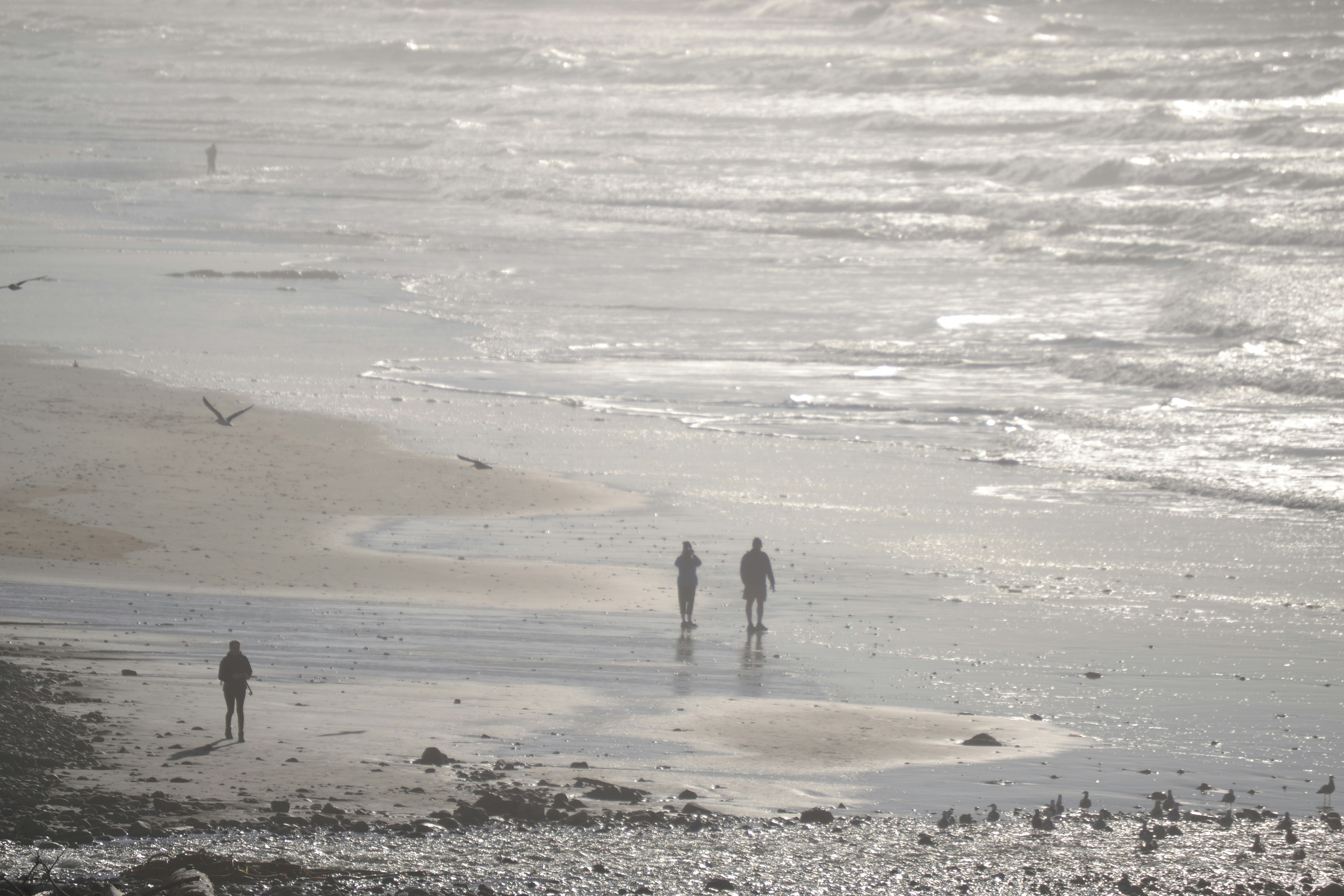 Silhouetted figures stroll along a misty beach, with waves gently lapping at the shore and birds soaring overhead.