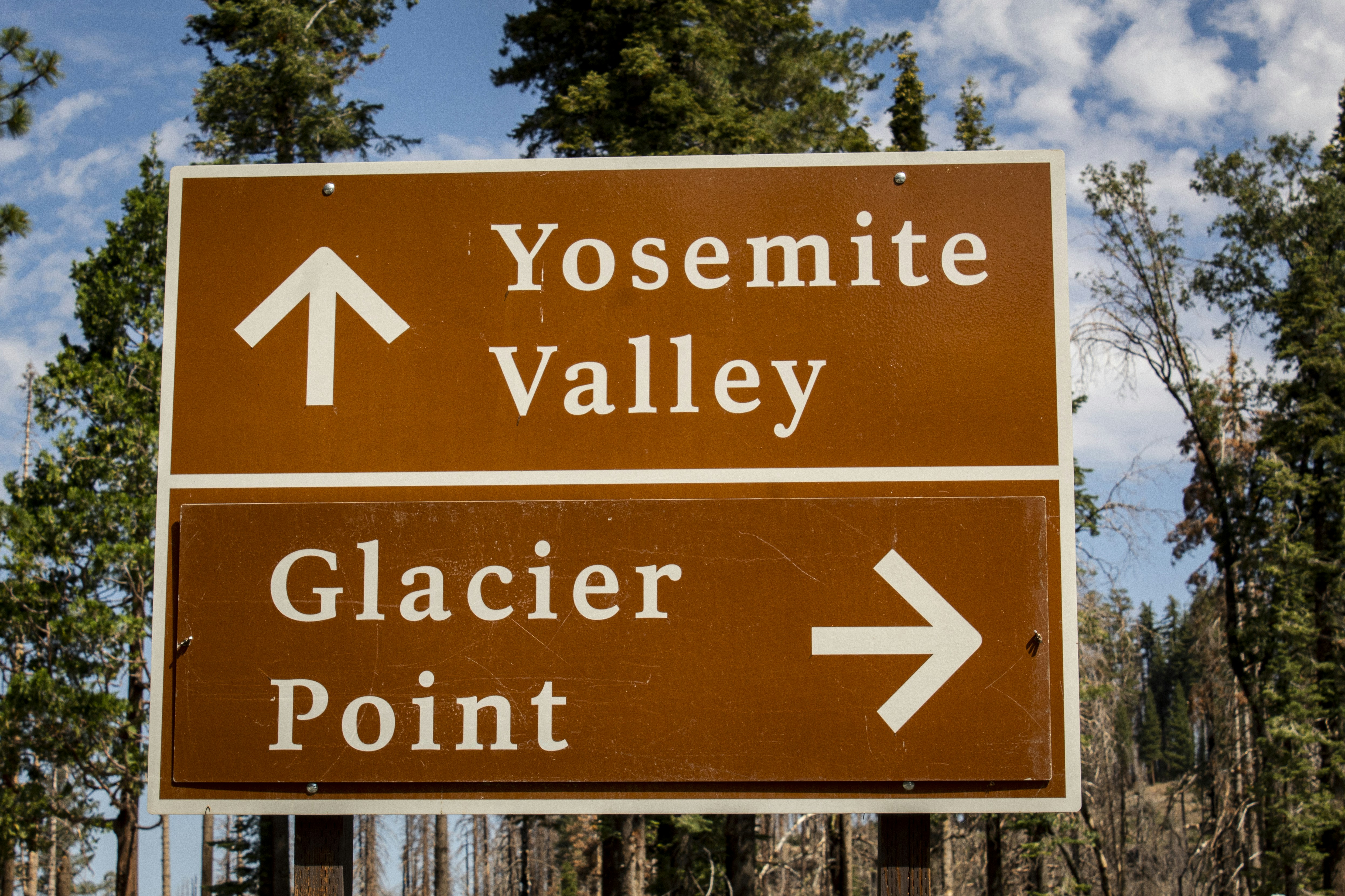 A close up of a street sign with trees in the background photo – Free ...