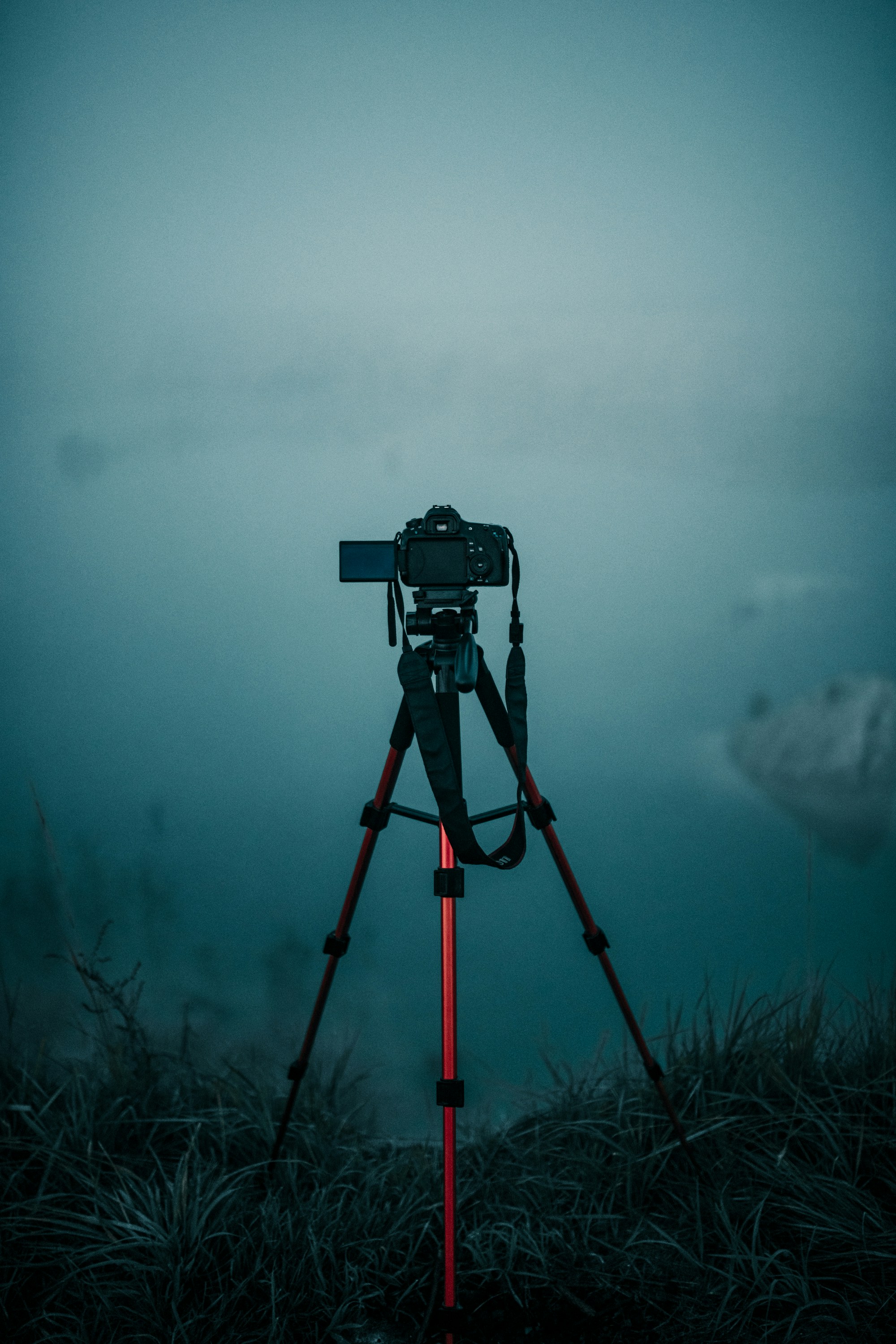 Tripod Sentinel in the Mist