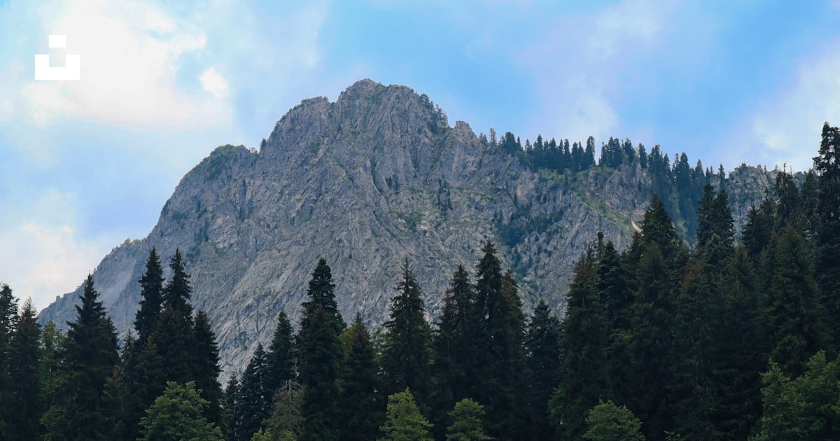 手前に木々、背景に青い空を持つ大きな山の写真 Unsplashの無料オゼロ マラヤ リツァ写真