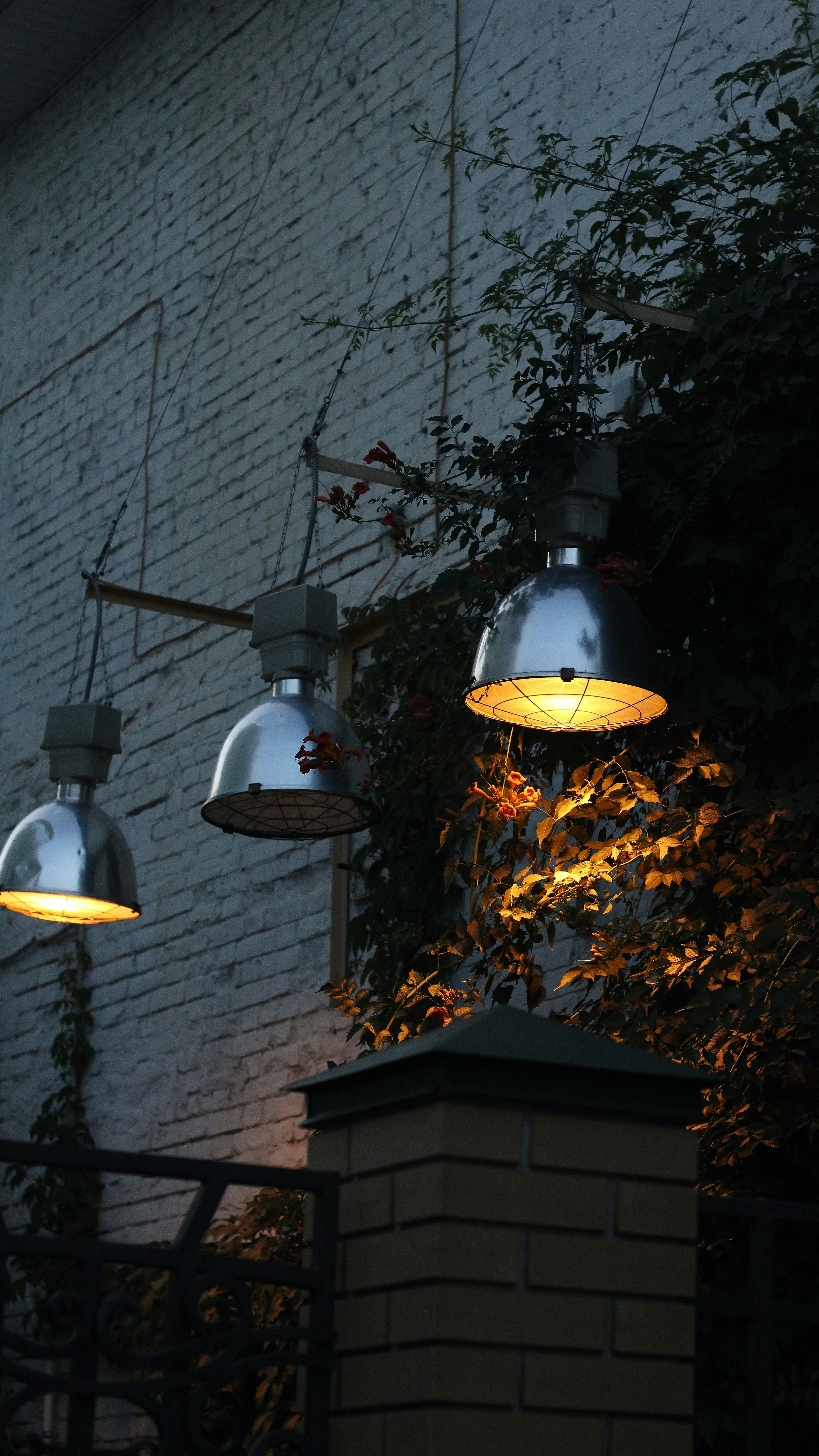 Evening Glow: Hanging Lamps Against Ivy and Brick