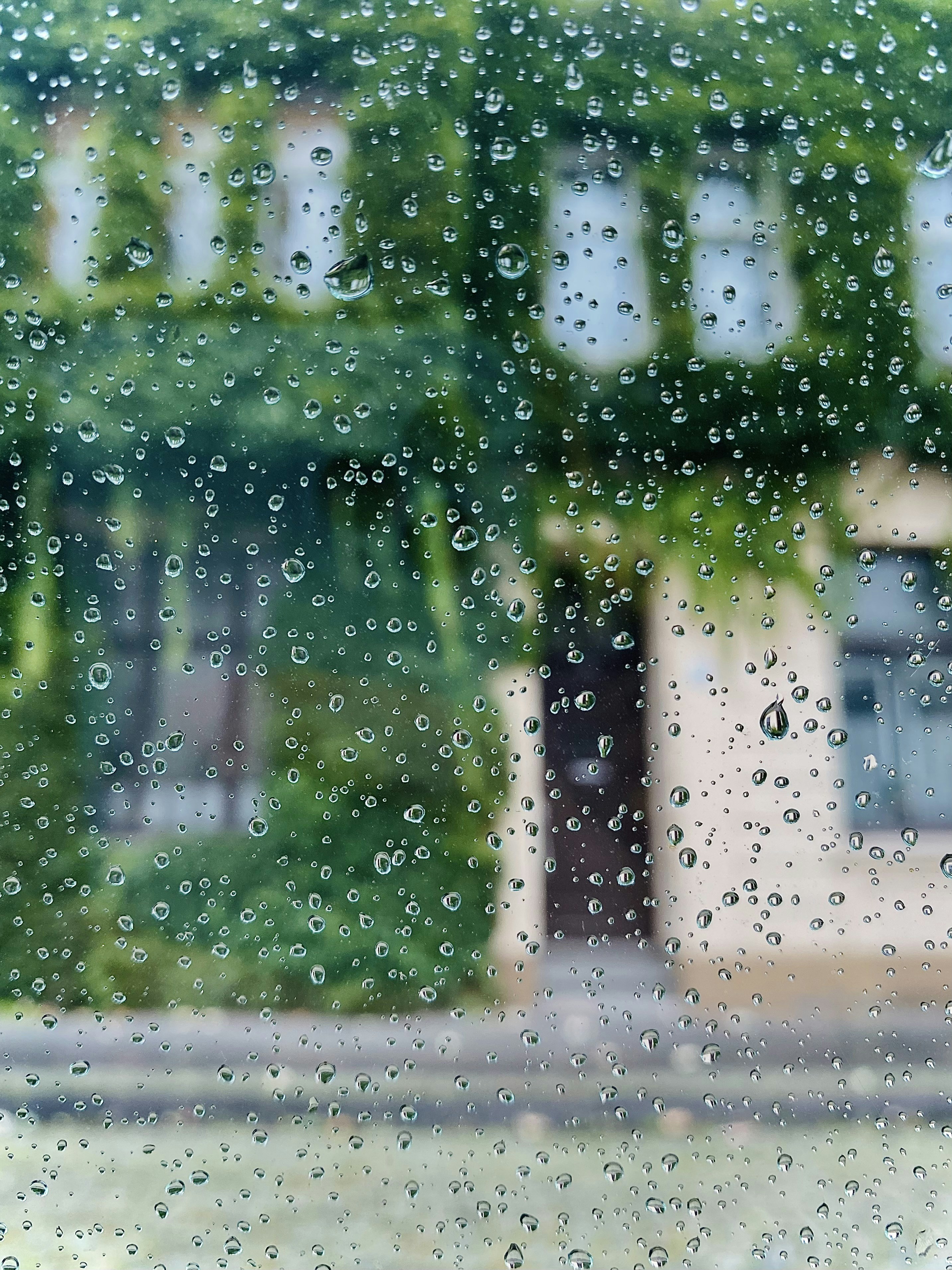Beaded Rain on Glass: Blurred Suburban Street Through a Droplet Curtain