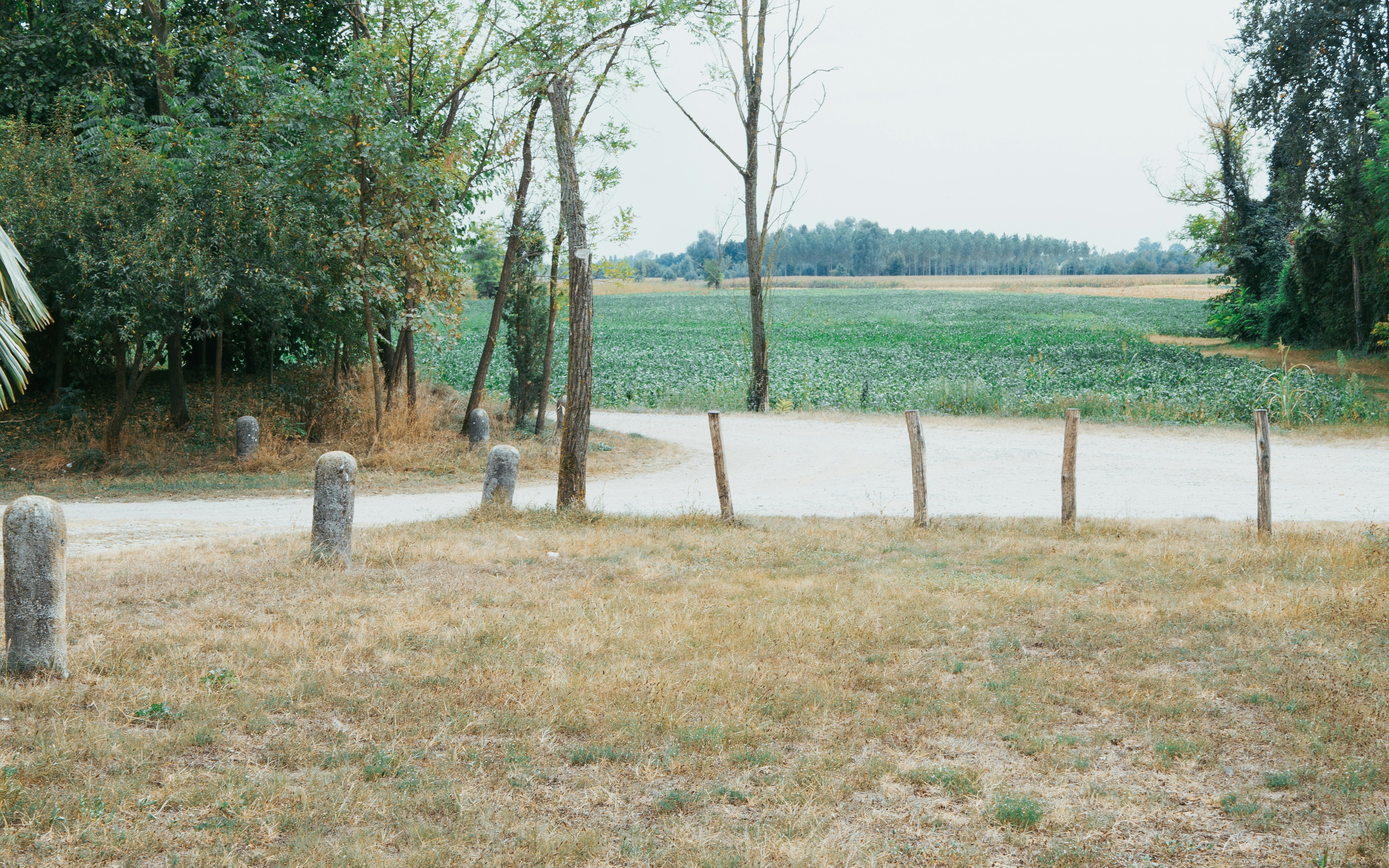 A winding dirt road bordered by weathered posts, leading to lush green fields under a soft, overcast sky.