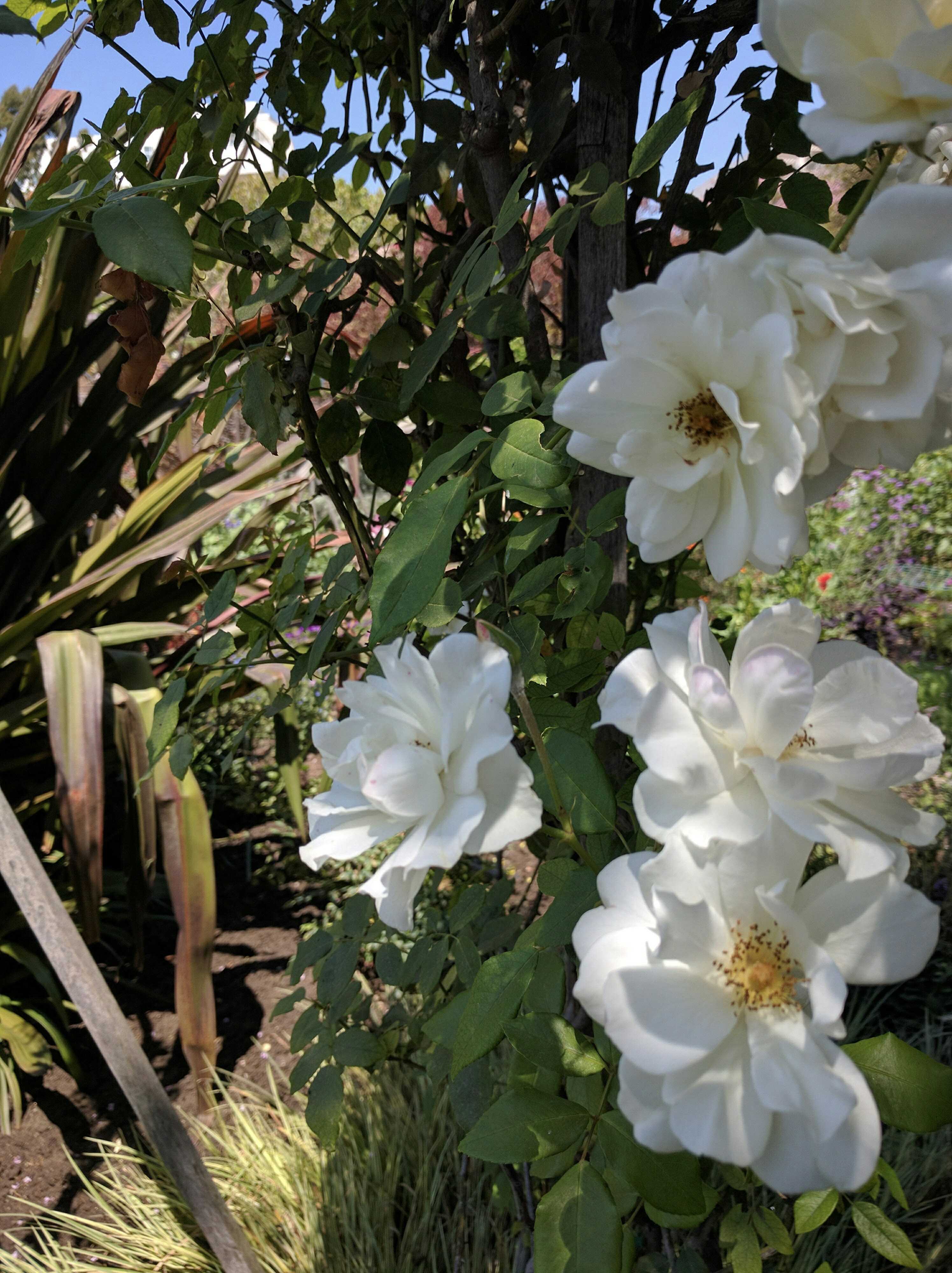 Maral Tutunjian (@maraltutunjian) | Komunitas Foto Unsplash