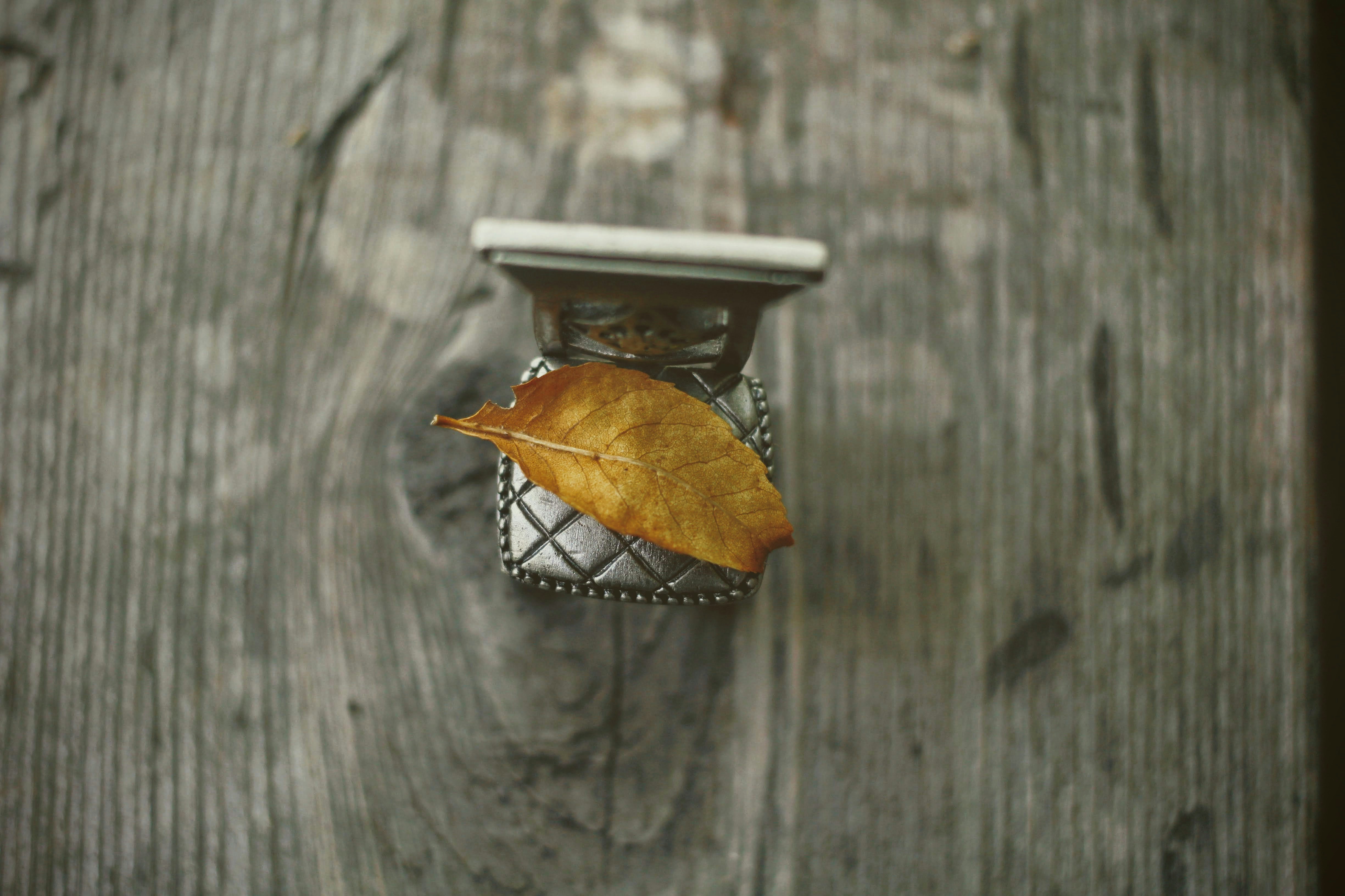 Small leaf sitting on a tiny chair on a wooden bench