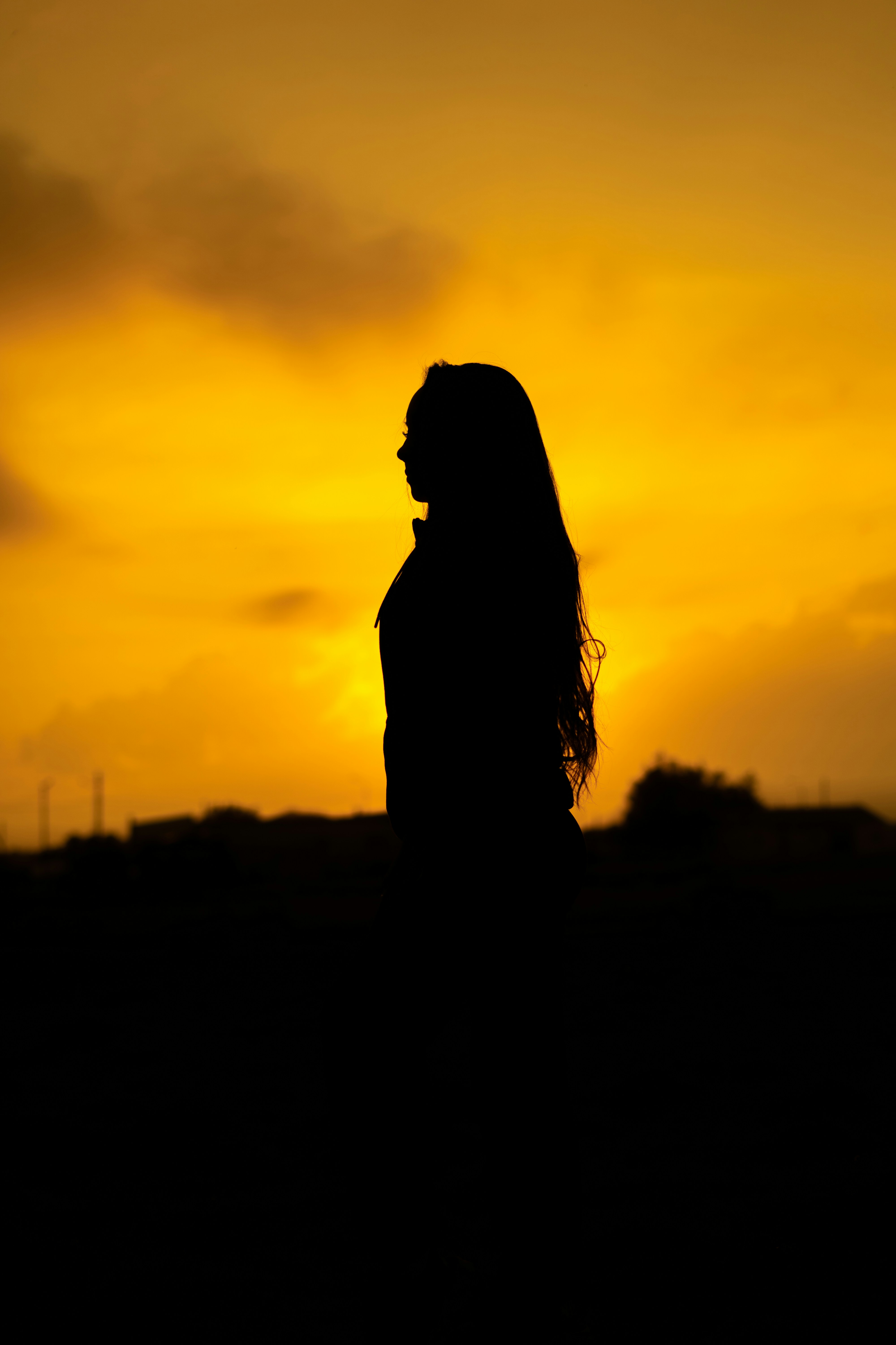 Silhouette of a woman with long hair outlined against a vibrant golden sunset, creating a dramatic contrast. The scene captures a moment of tranquility and reflection.