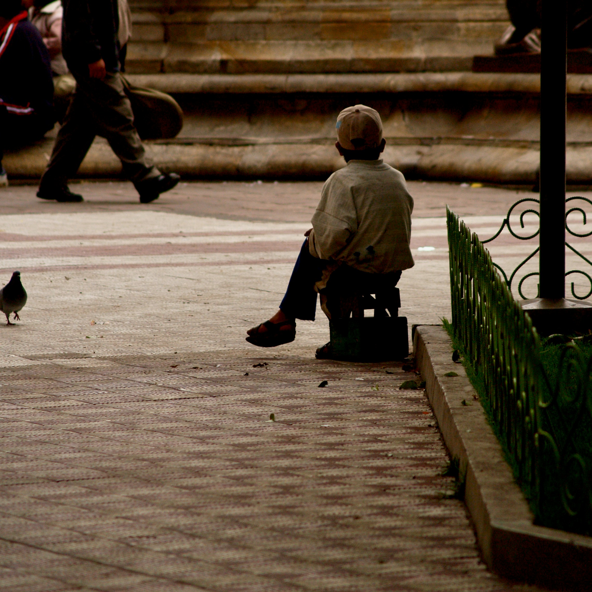 Quiet Observer by the Steps