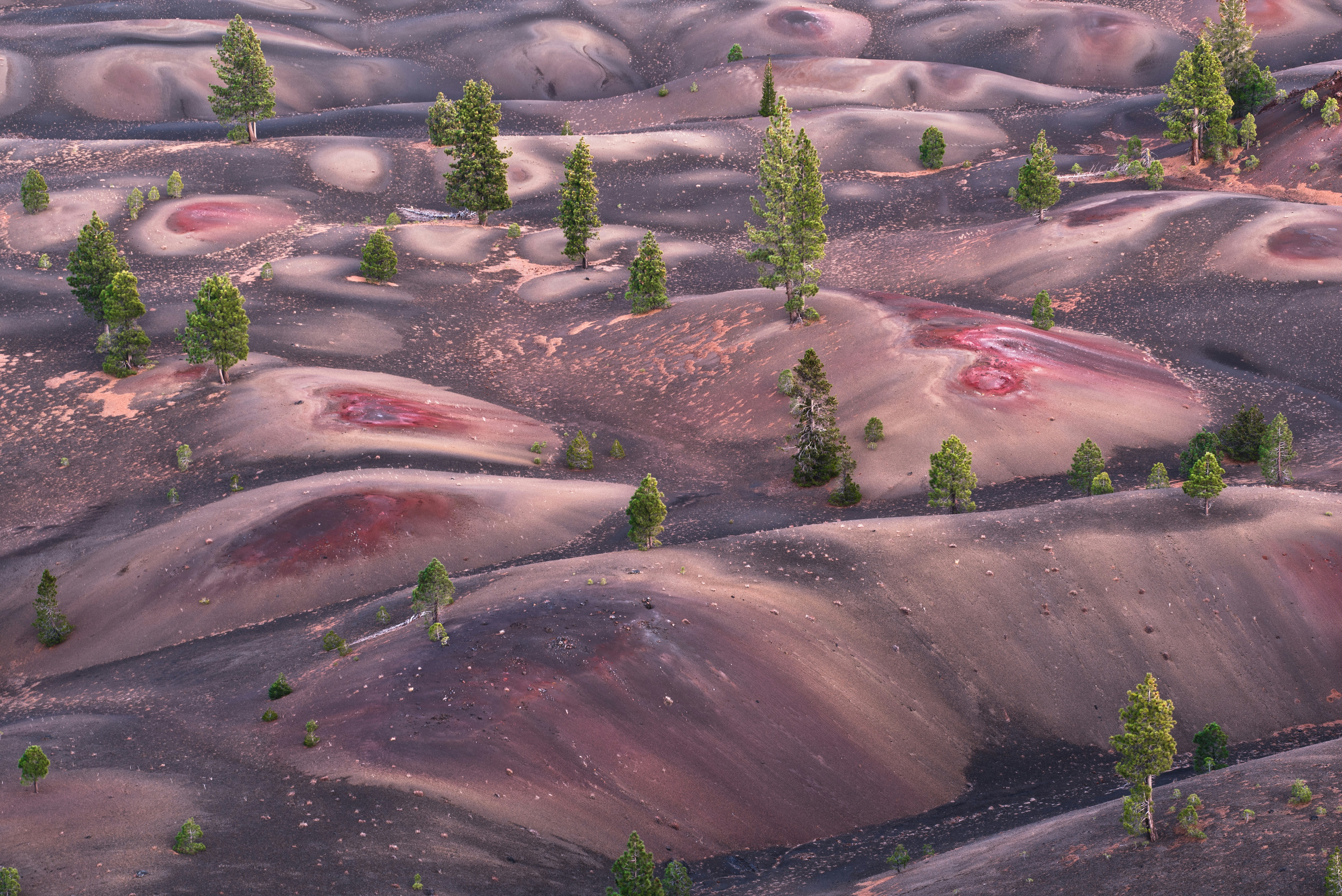 Whispers of the Earth: A Colorful Tapestry of Lava and Life