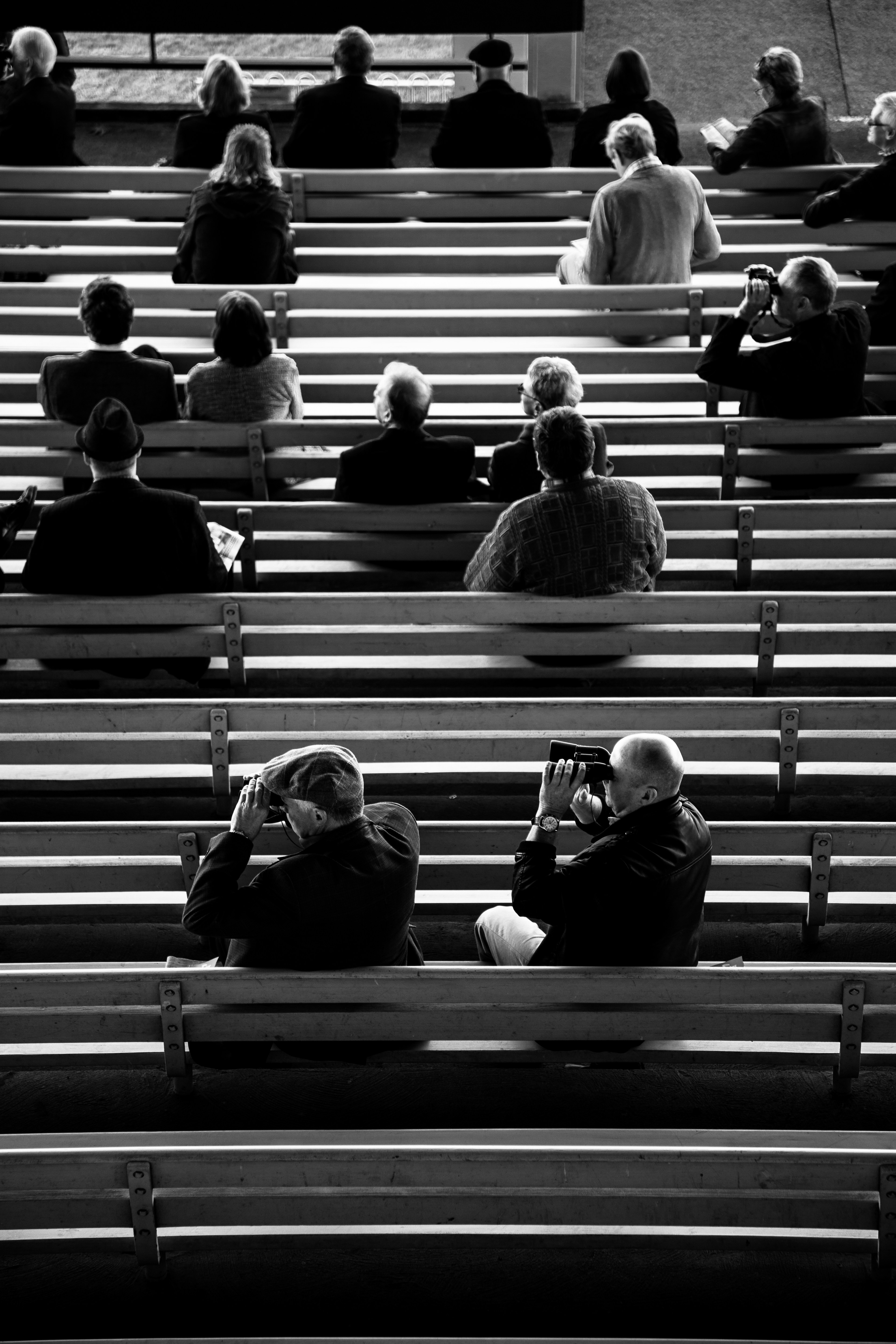 A group of people sitting next to each other in a stadium photo – Free ...