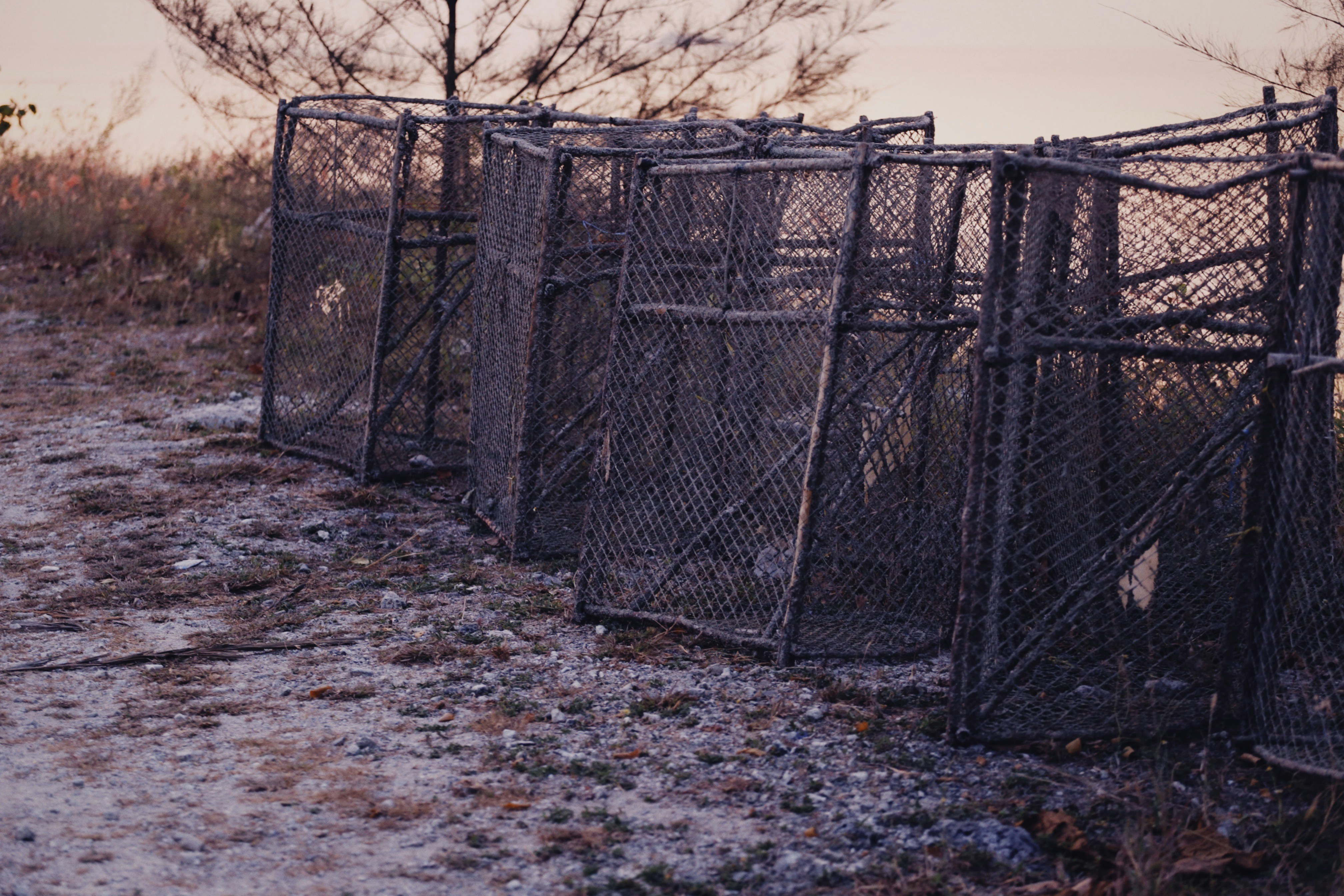 Chains of the Cold: A Row of Metal Cages in the Dusk