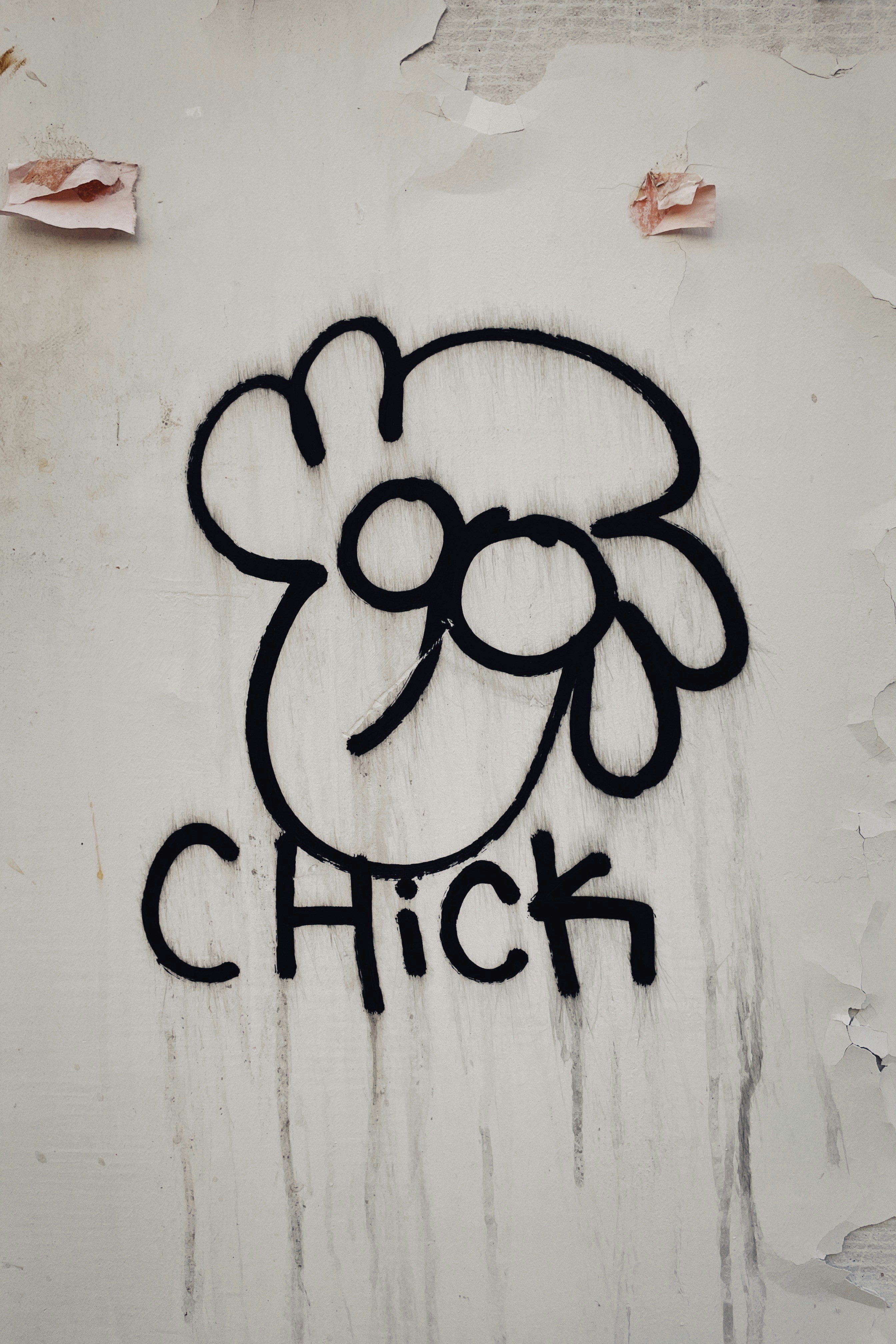 9 Chickweed Cartoon Strip Today Pictures | Download Free Images on Unsplash