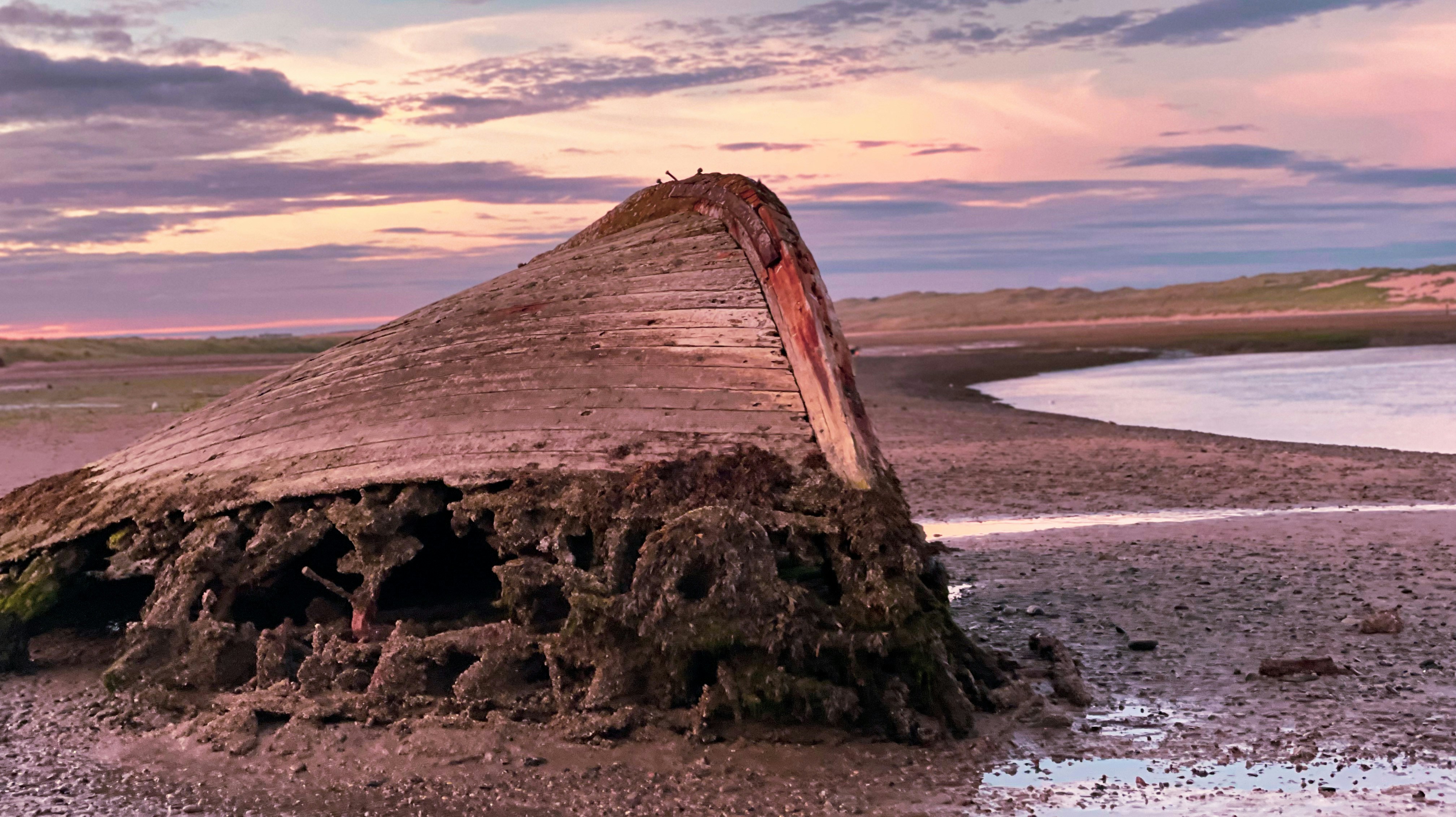 Une grosse bûche posée au sommet d’une plage à côté d’un plan d’eau ...