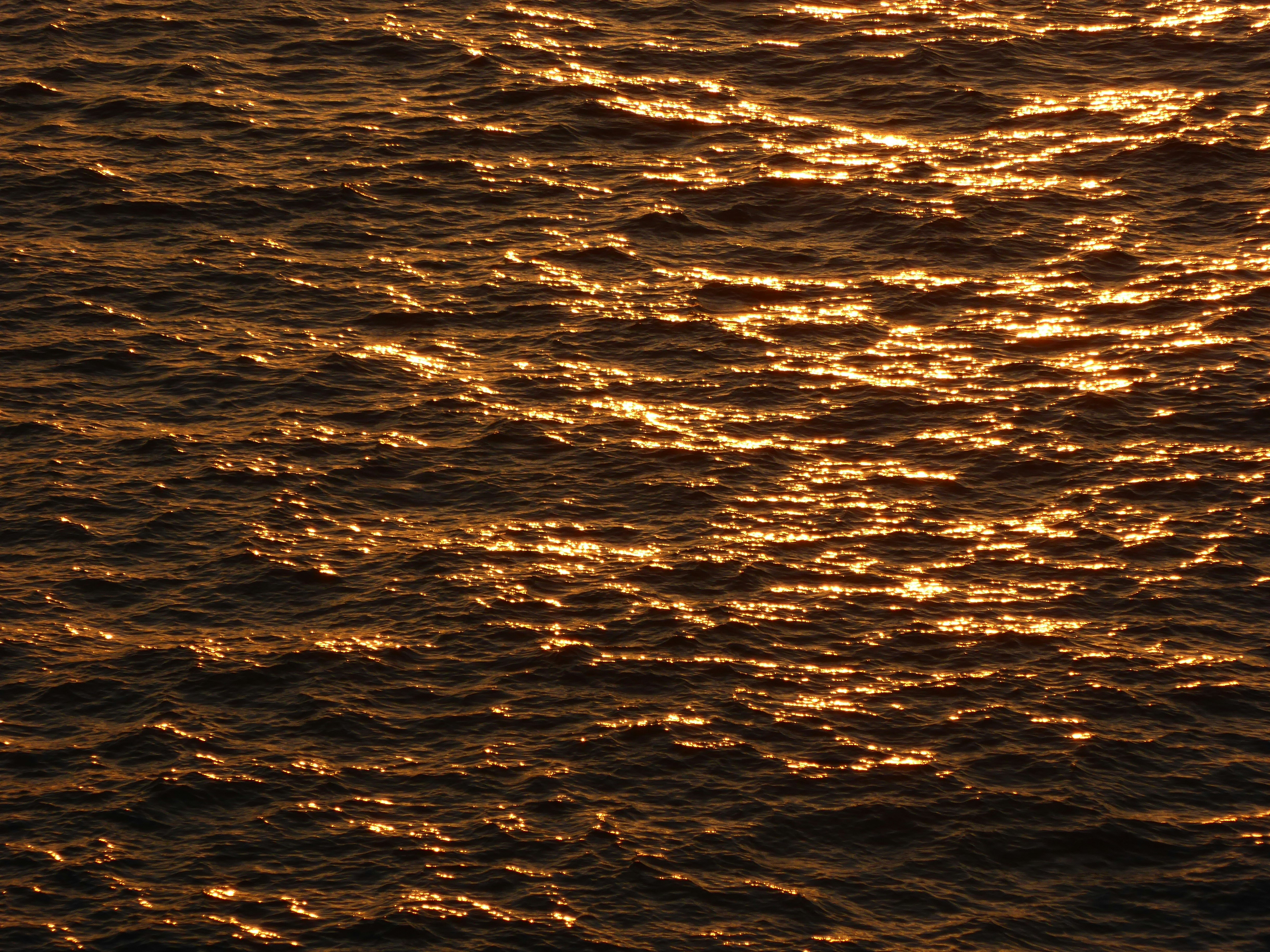 Glistening waves reflect golden sunlight, creating a shimmering surface texture. The image captures the serene beauty of water during sunset.