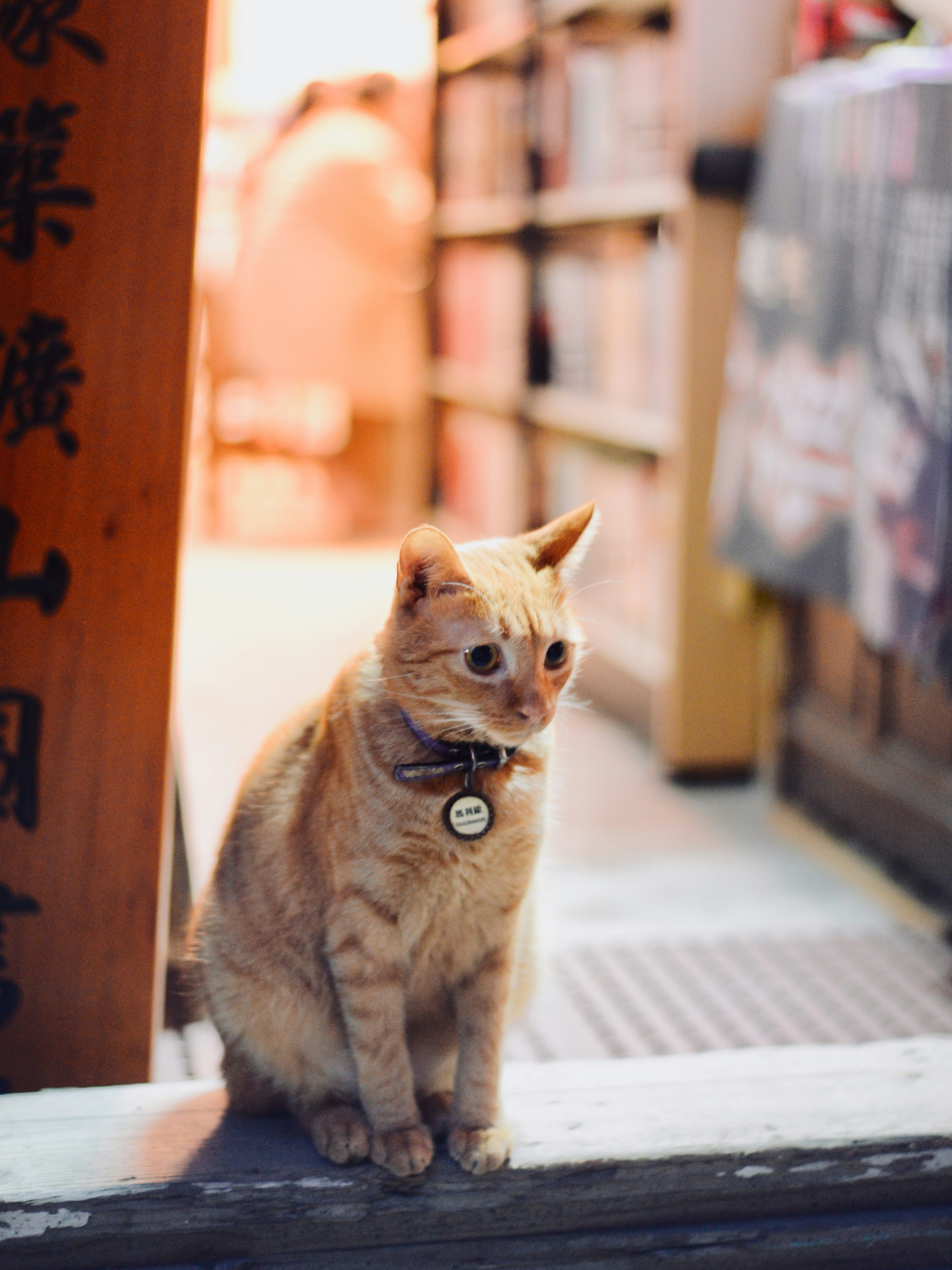 Hug me please