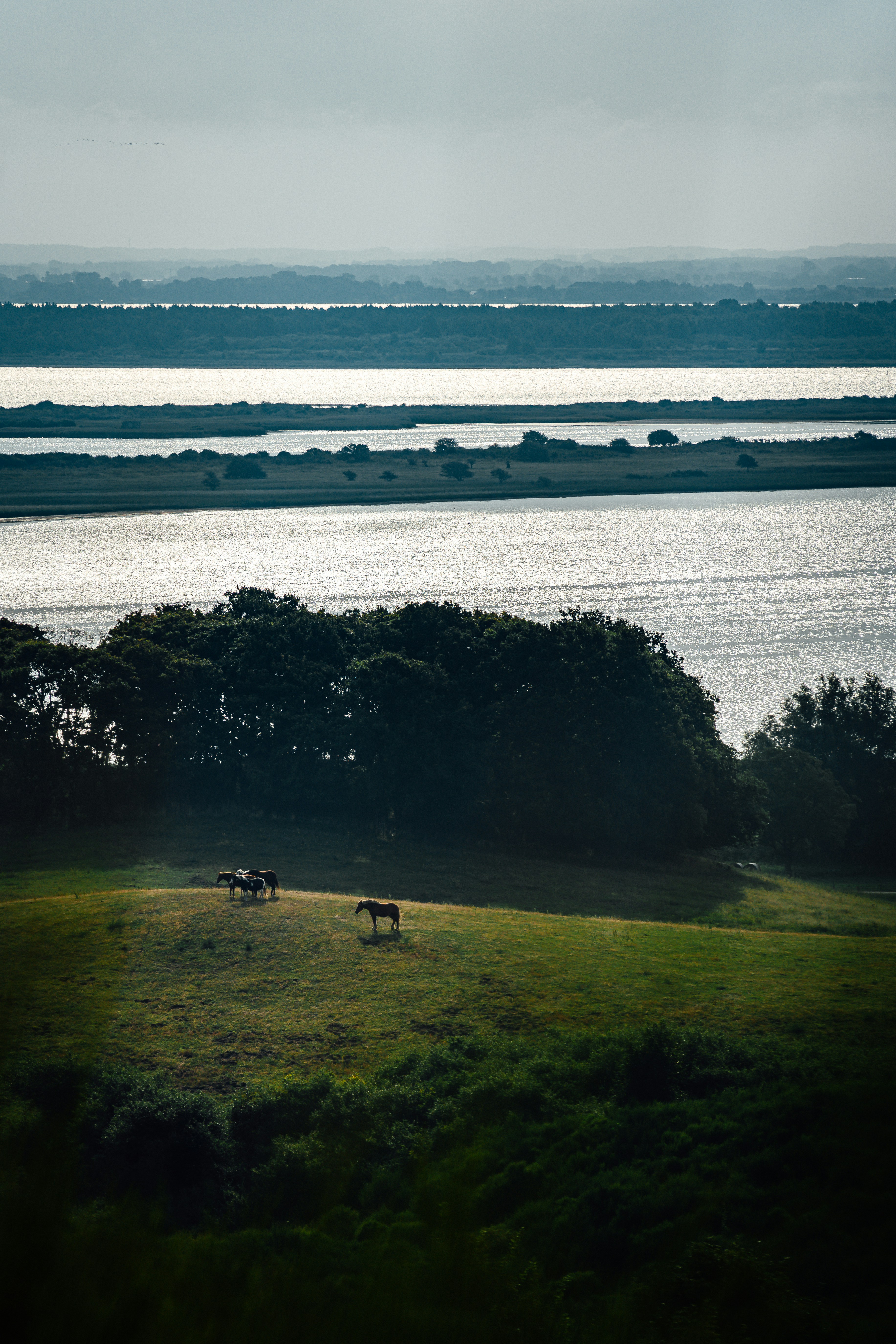 Horses at the Quiet Crest: A riverside pasture bathed in silver light