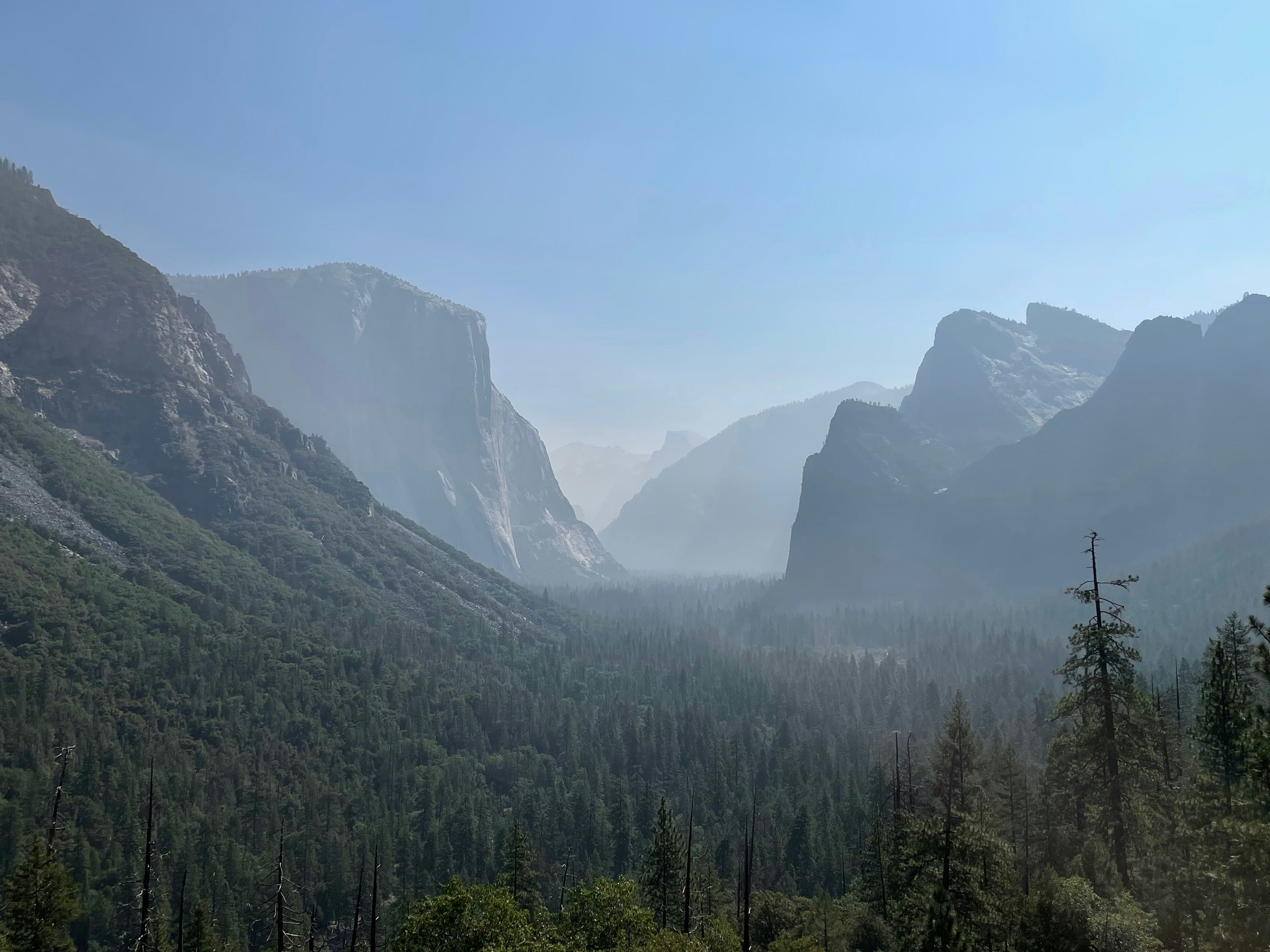 Mist-Quiet Valley: Dawn Light Between Granite Giants
