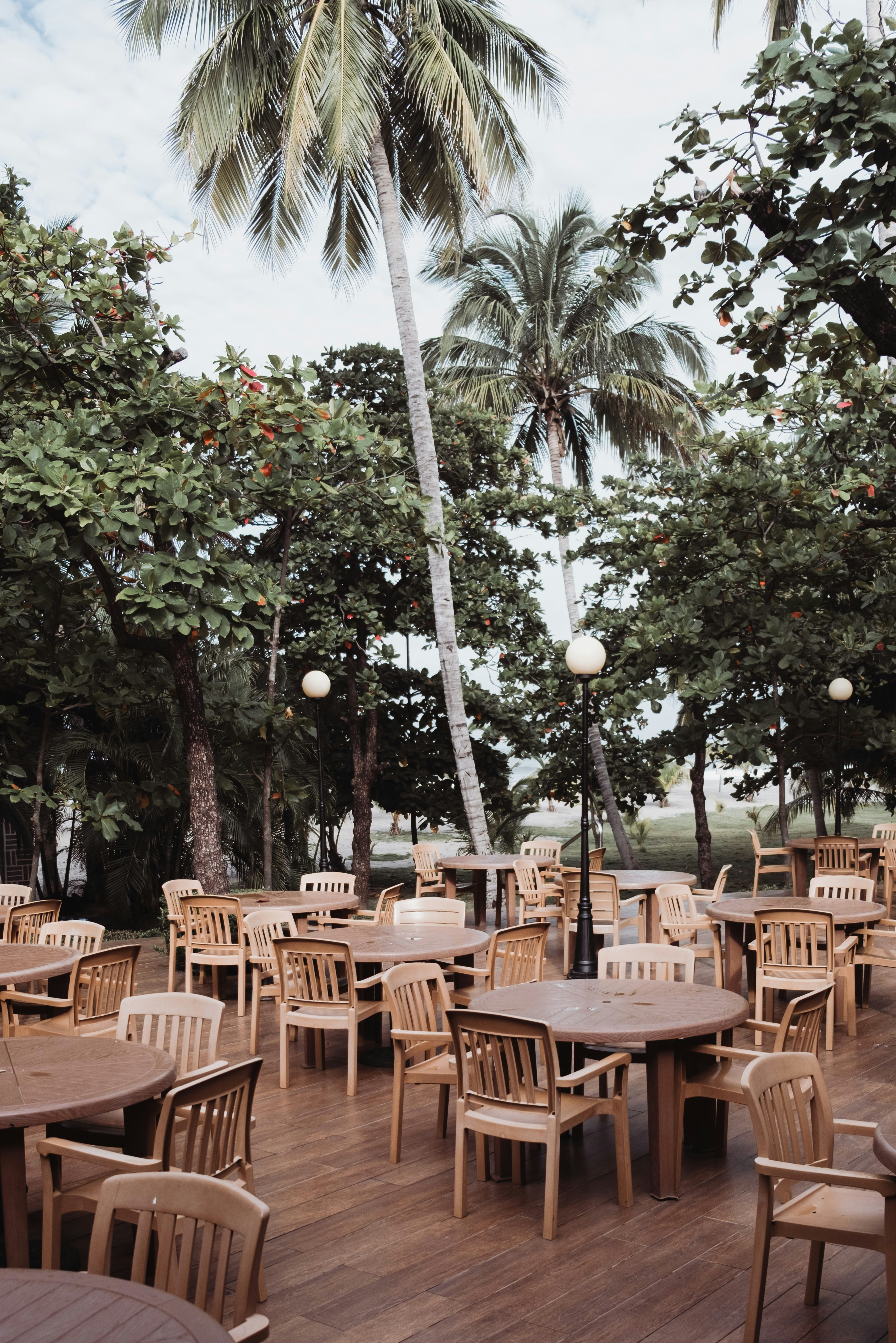 Tropical Terrace: Sunlit Tables Beneath Towering Palms