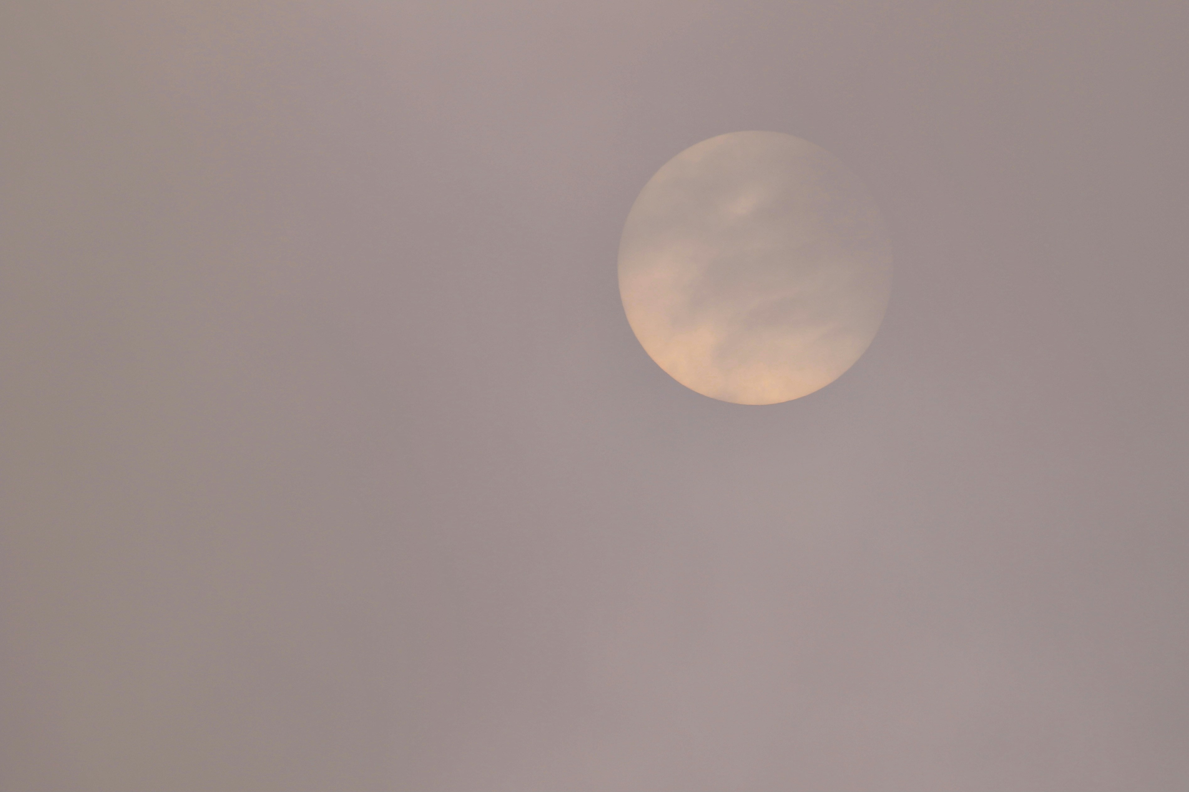 Quiet Sunset Disk: The Hazy Sun Behind Soft Mauve Clouds