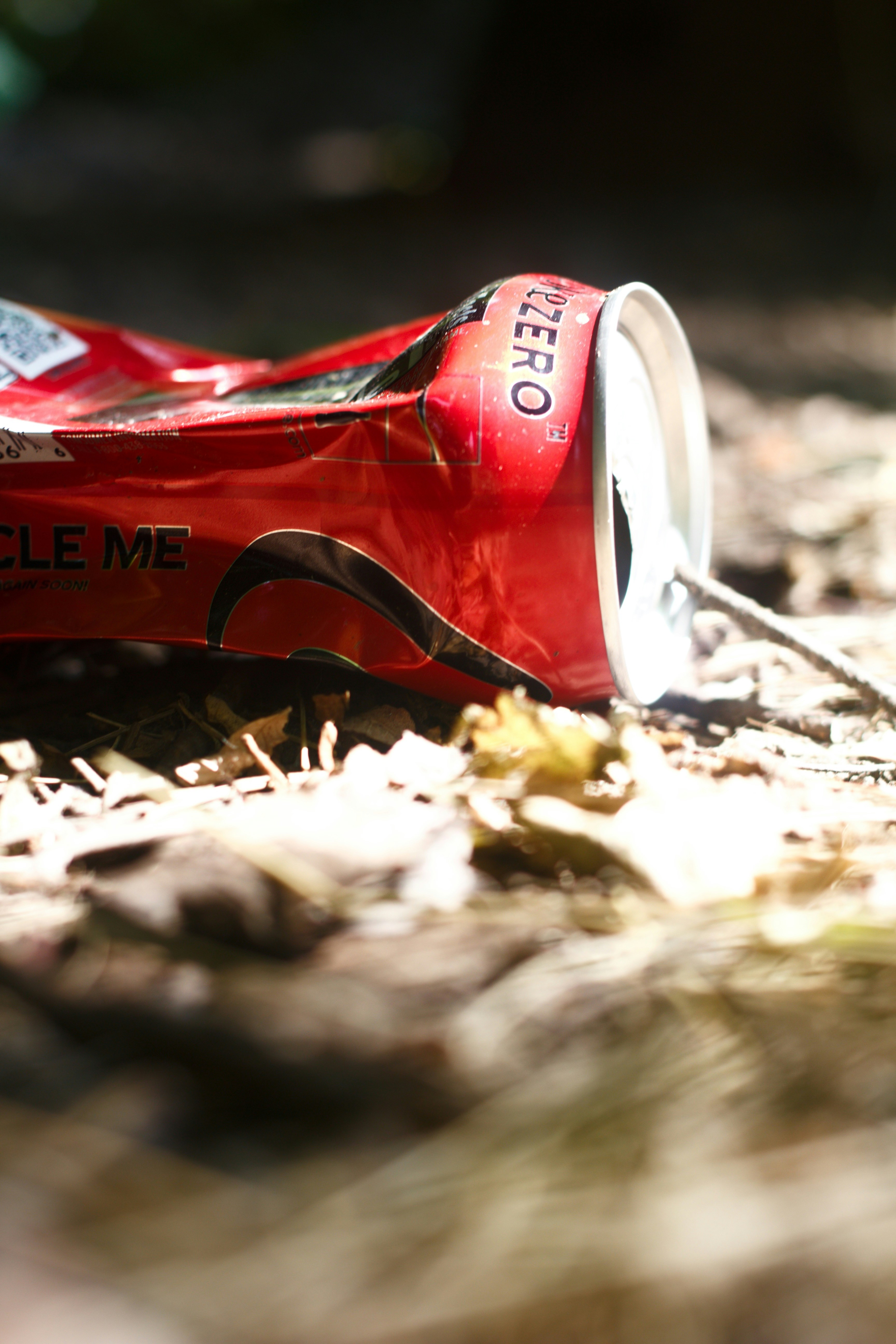 Crushed Red Soda Can Resting on Leaf-Littered Ground in Sunlight
