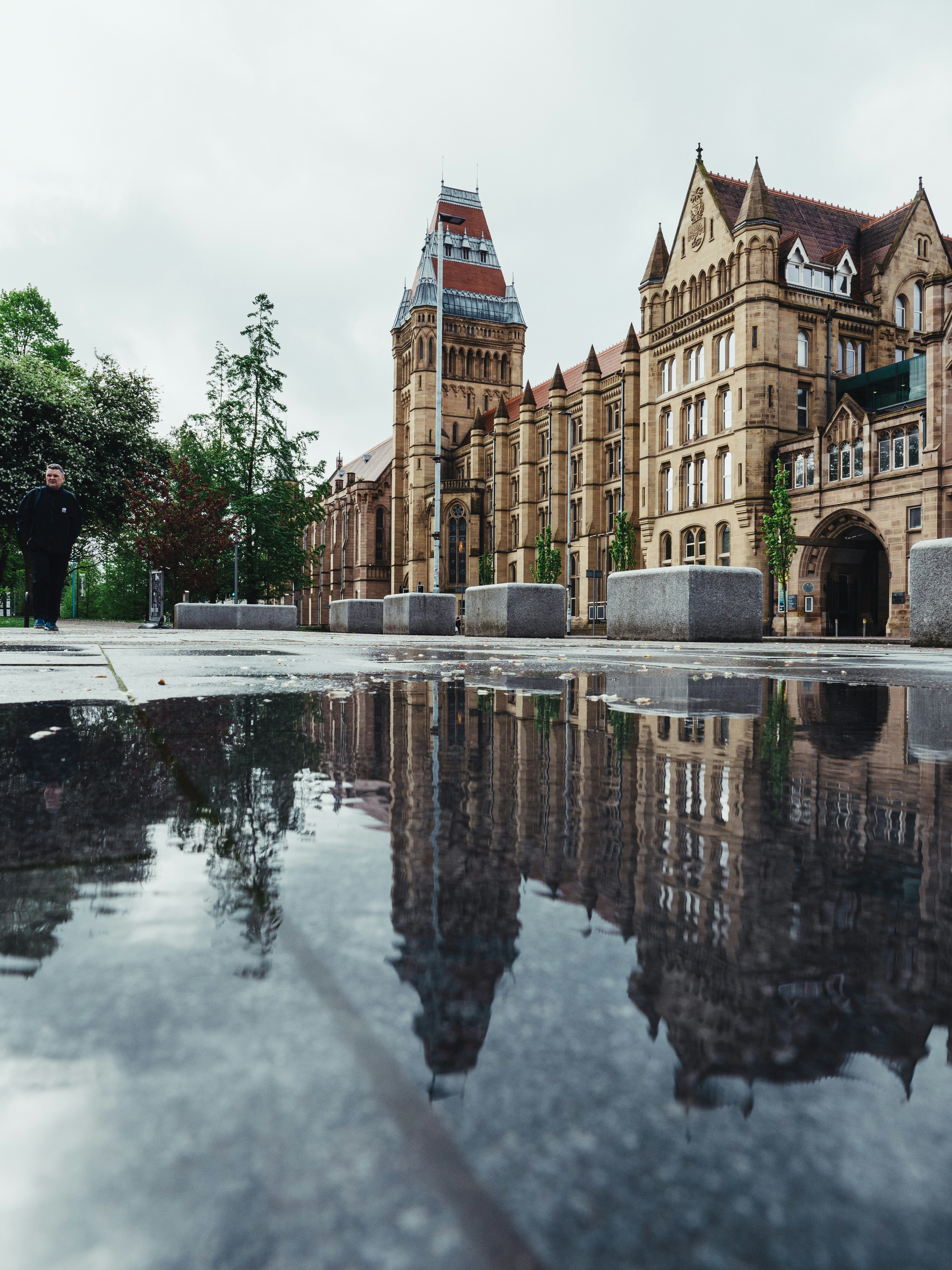Historic architecture reflecting in a puddle on a city street, showcasing a blend of nature and urban life.